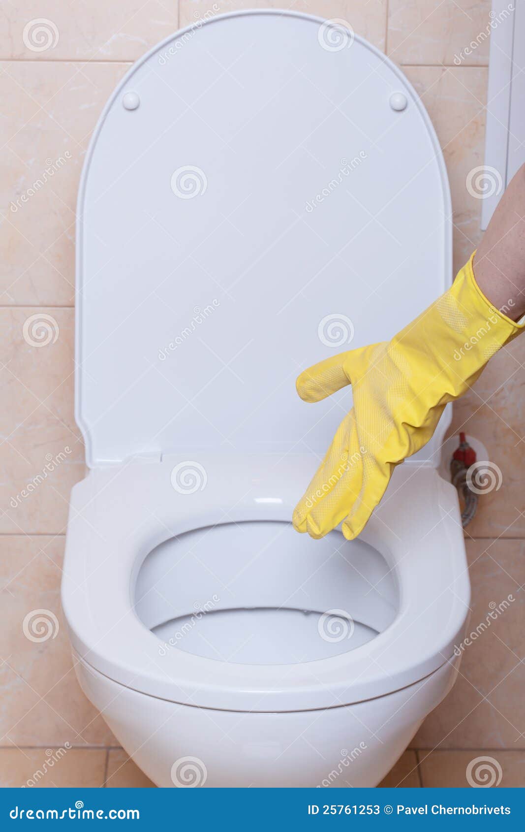 Toilet hygiene concept stock image. Image of paper, sanitary - 25761253