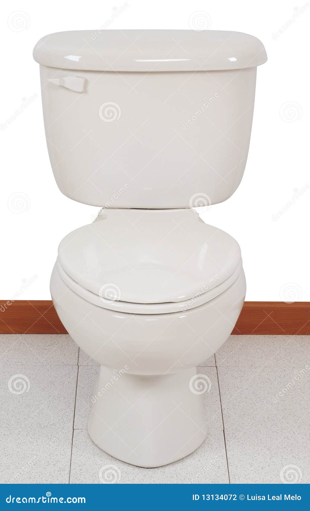 Toilet. Isolated stock photo. Image of toilet, private - 13134072