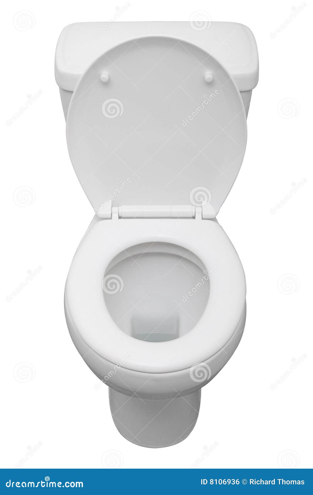 Toilet isolated stock photo. Image of water, closet, bowl - 8106936