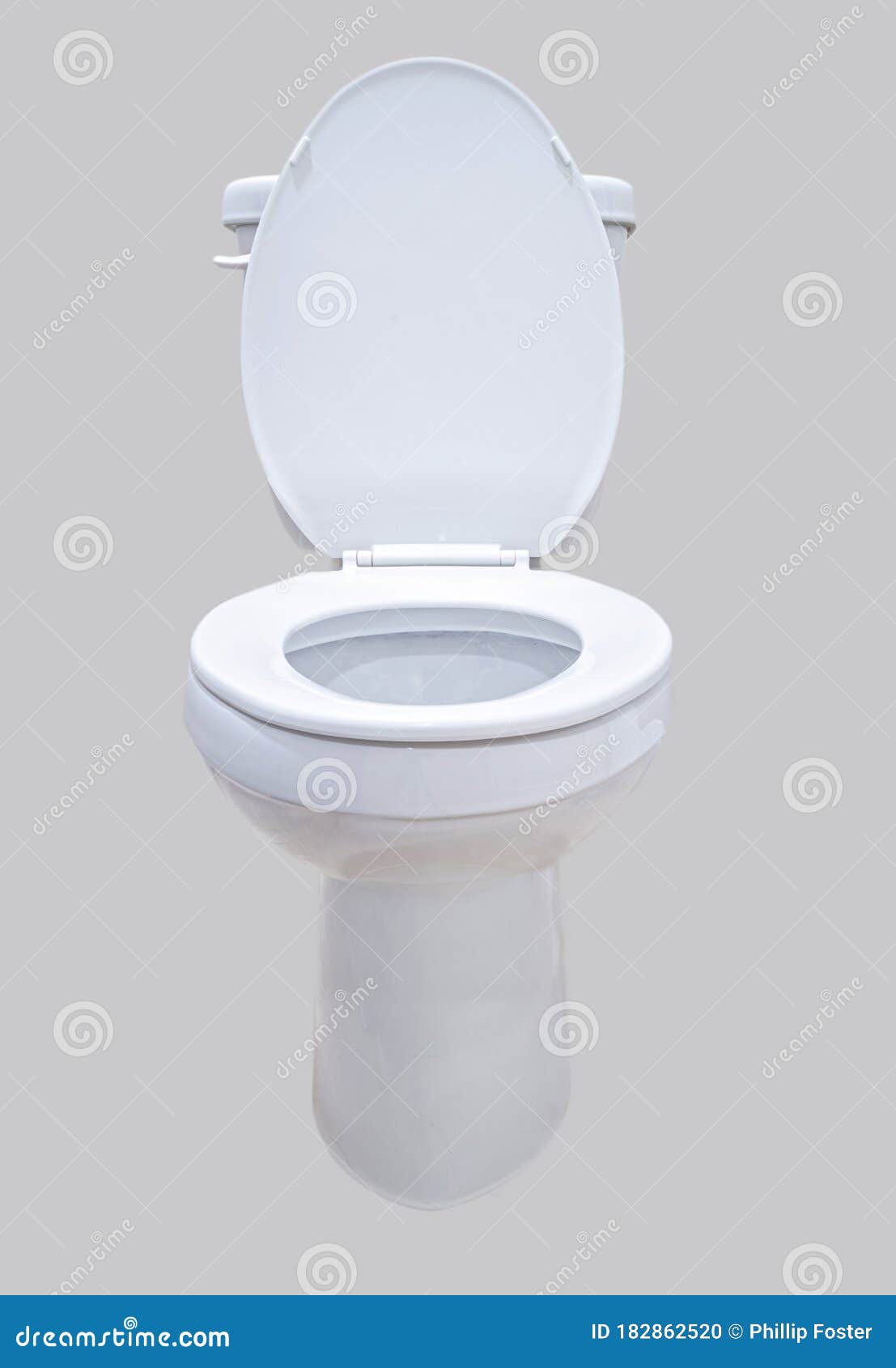 Toilet in Isolation stock photo. Image of healthy, elegance - 182862520