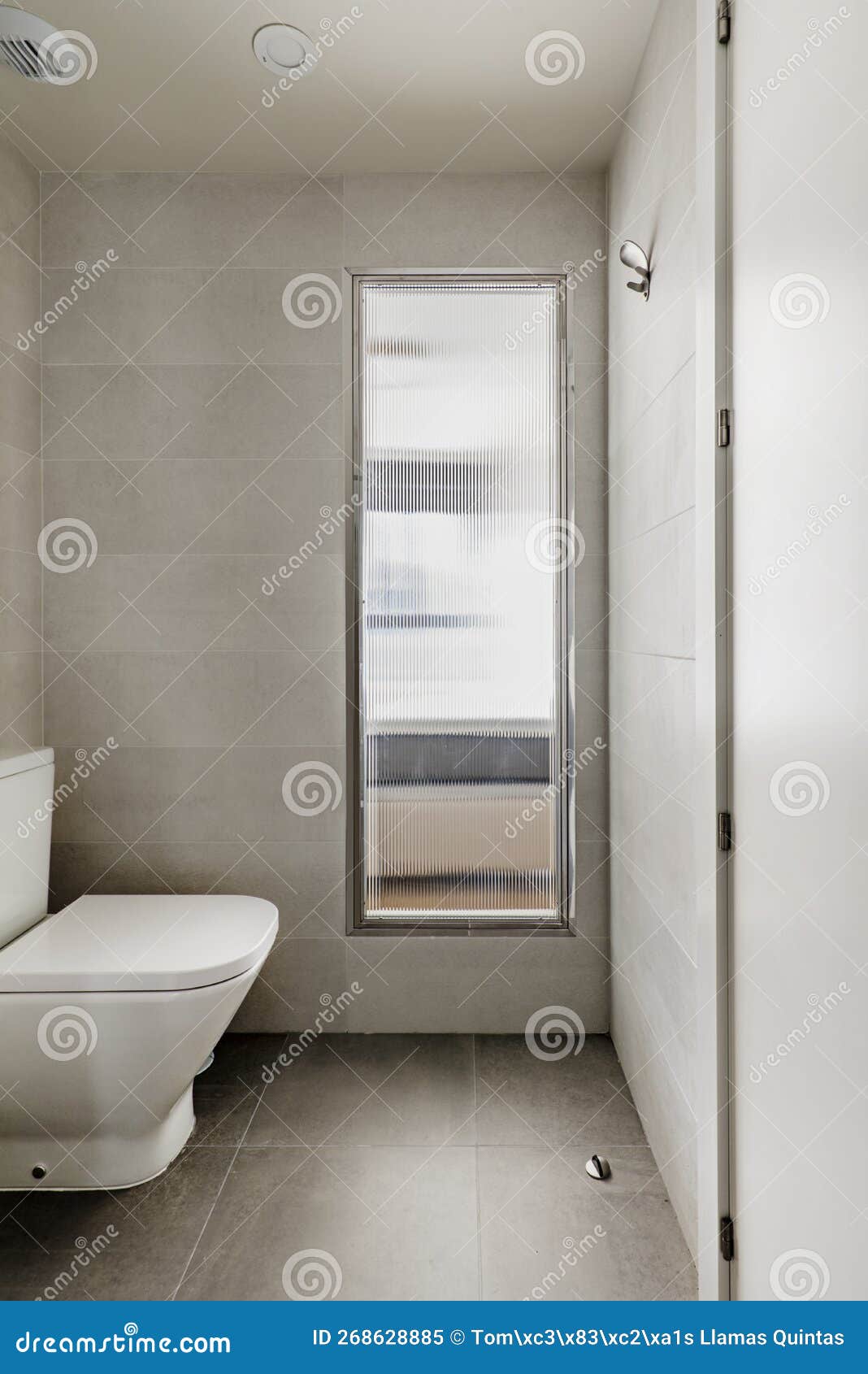 Toilet with Toilet Next To a Rectangular Translucent Glass Skylight ...