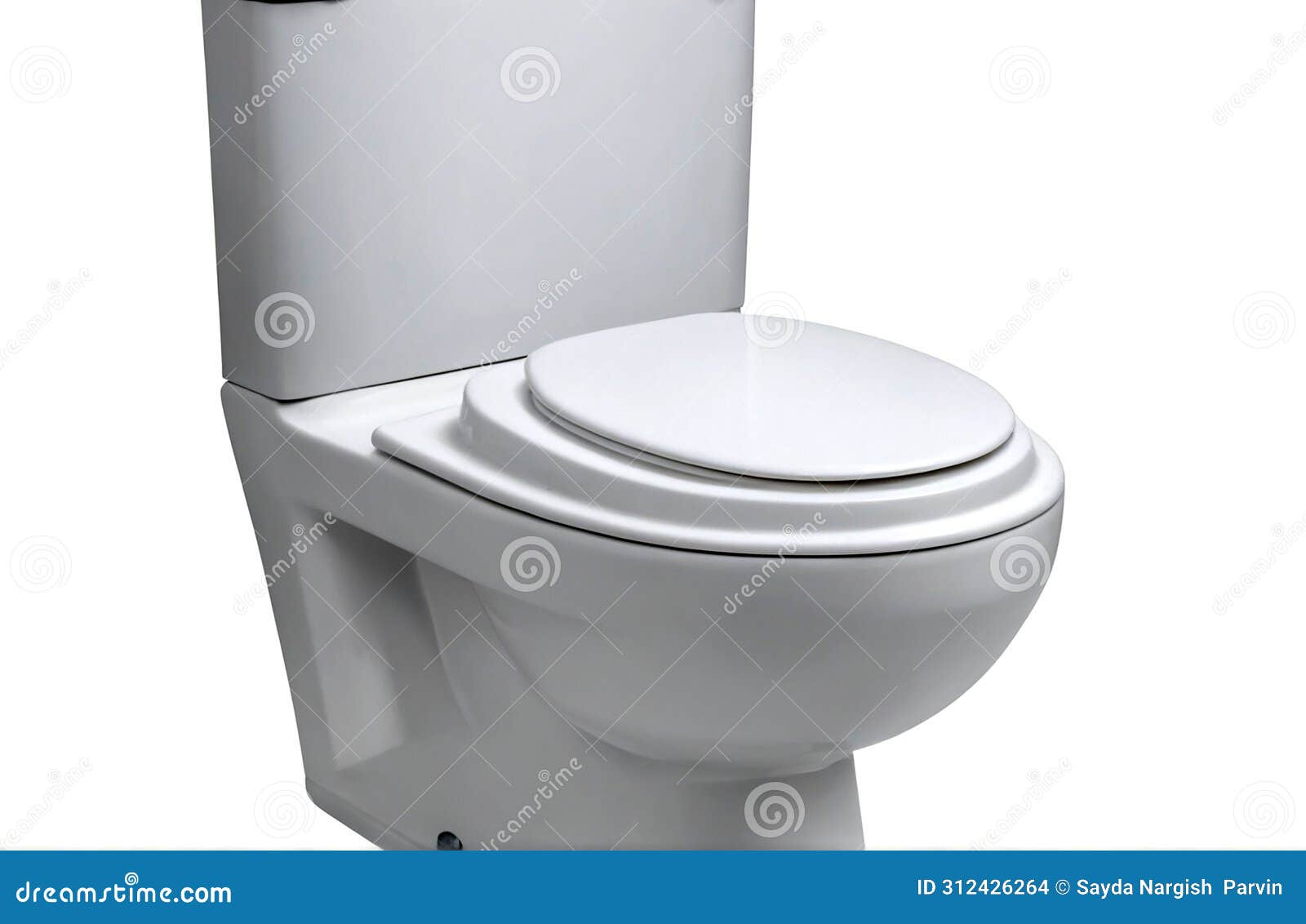 Toilet at Office, Cut Out on White Background Stock Illustration ...
