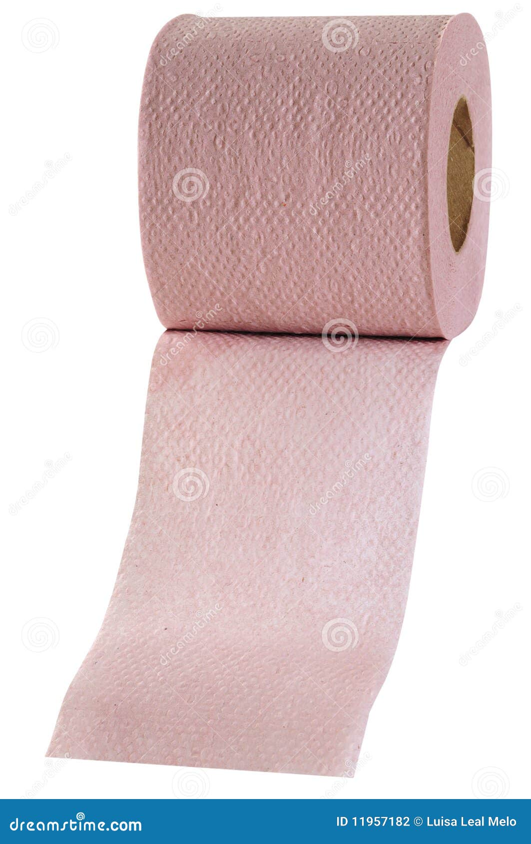 Toilet paper stock photo. Image of lavatory, paper, round - 11957182