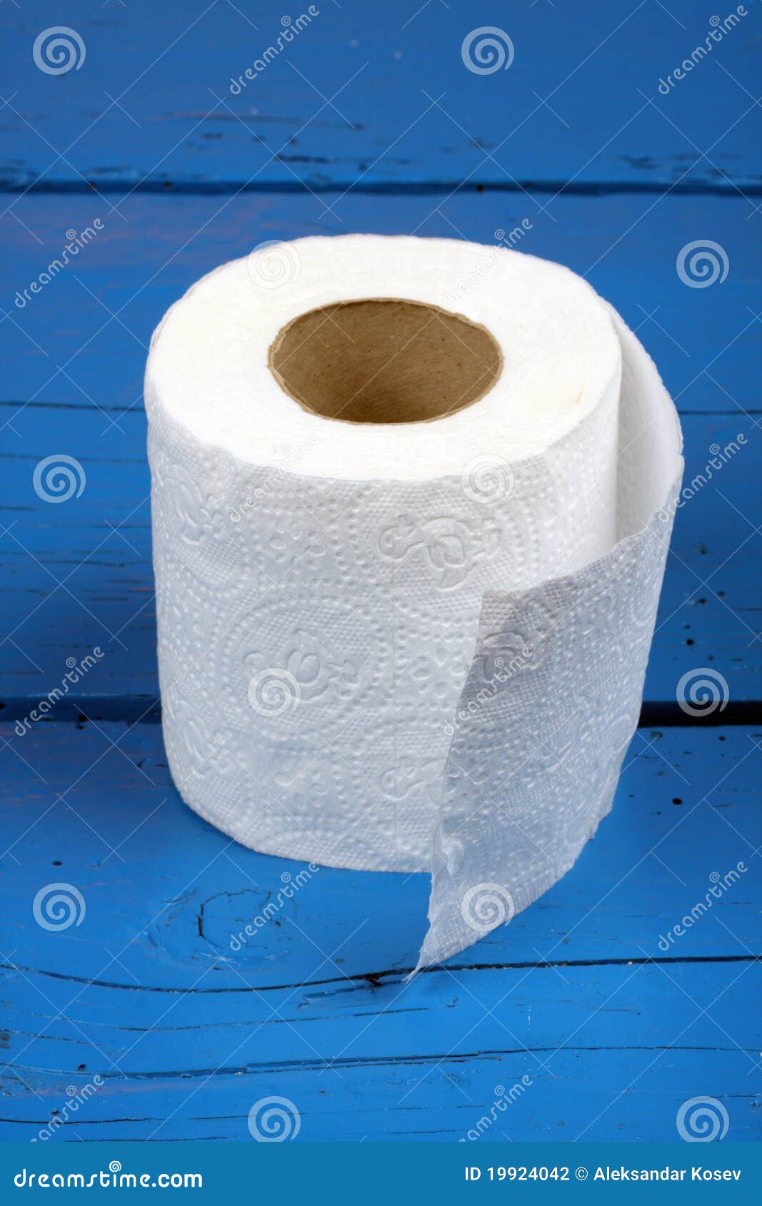Toilet paper stock photo. Image of bathroom, clean, roll - 19924042
