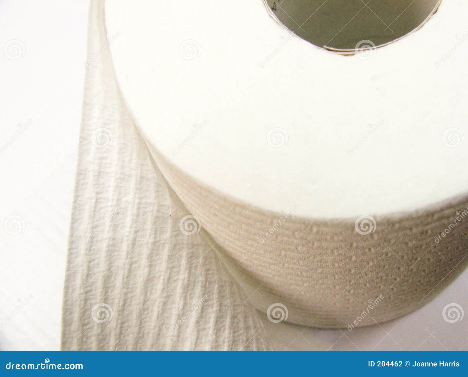Toilet Paper stock photo. Image of health, wipe, hygiene - 204462