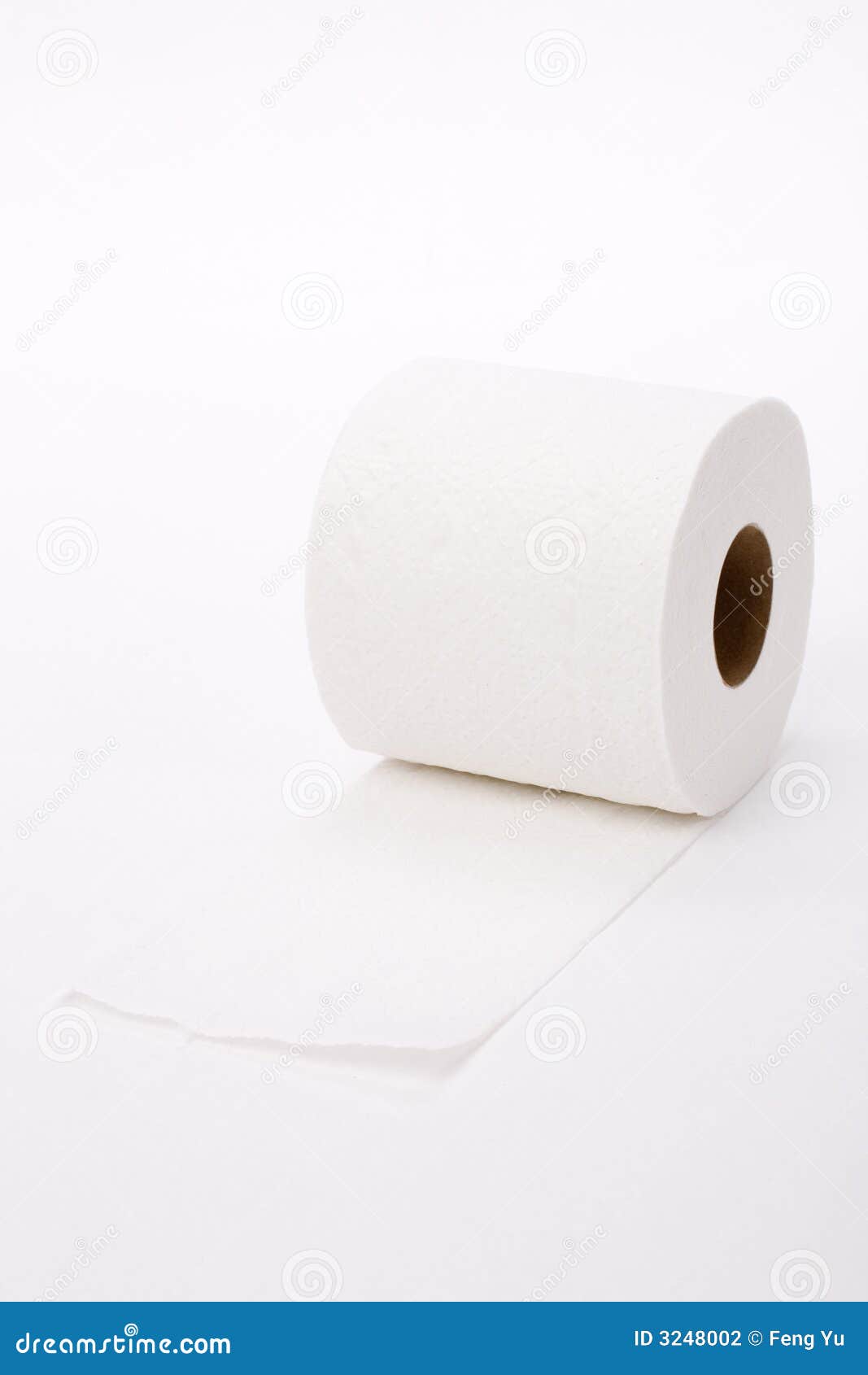 Toilet paper stock photo. Image of restroom, hygiene, roll - 3248002