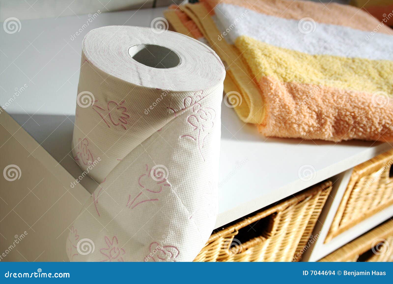Toilet Paper Picture. Image: 7044694