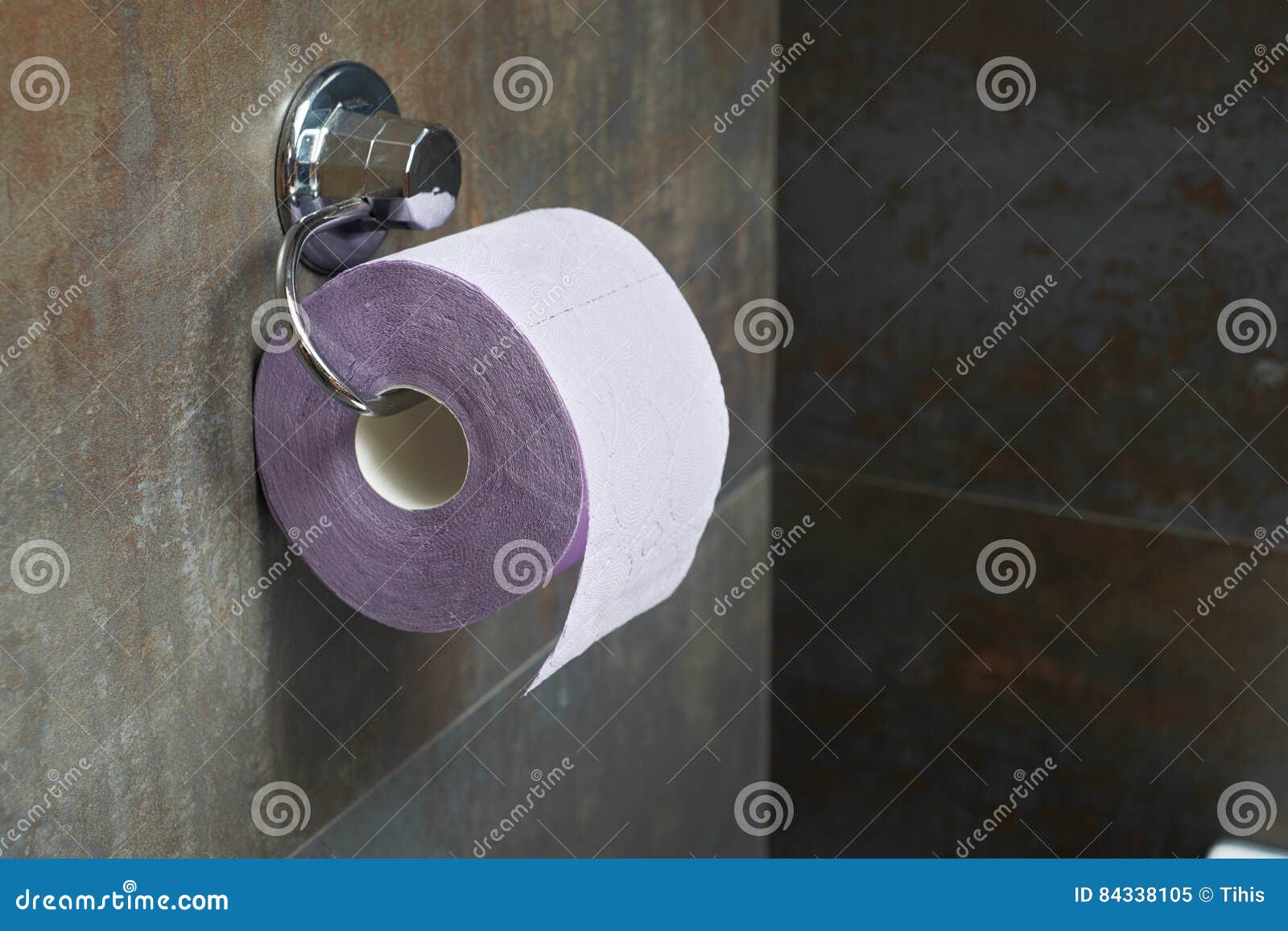 Toilet Paper on Modern Wall Stock Image - Image of chrome, paper: 84338105