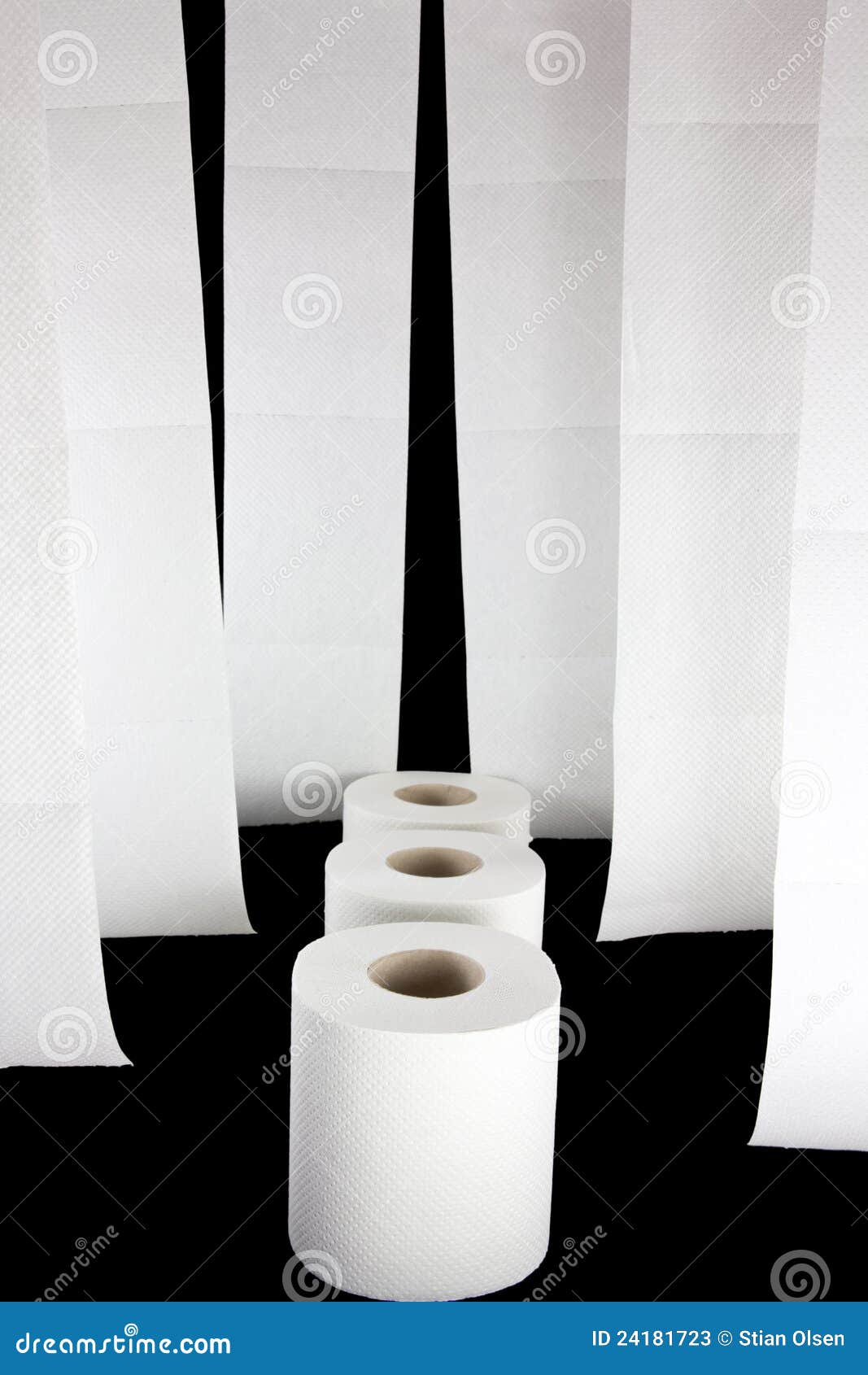Toilet paper picture stock image. Image of paper, cleanse - 24181723
