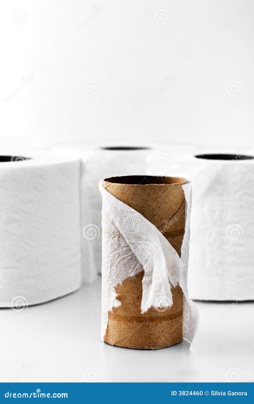 Toilet paper roll stock photo. Image of paper, hygiene - 3824460