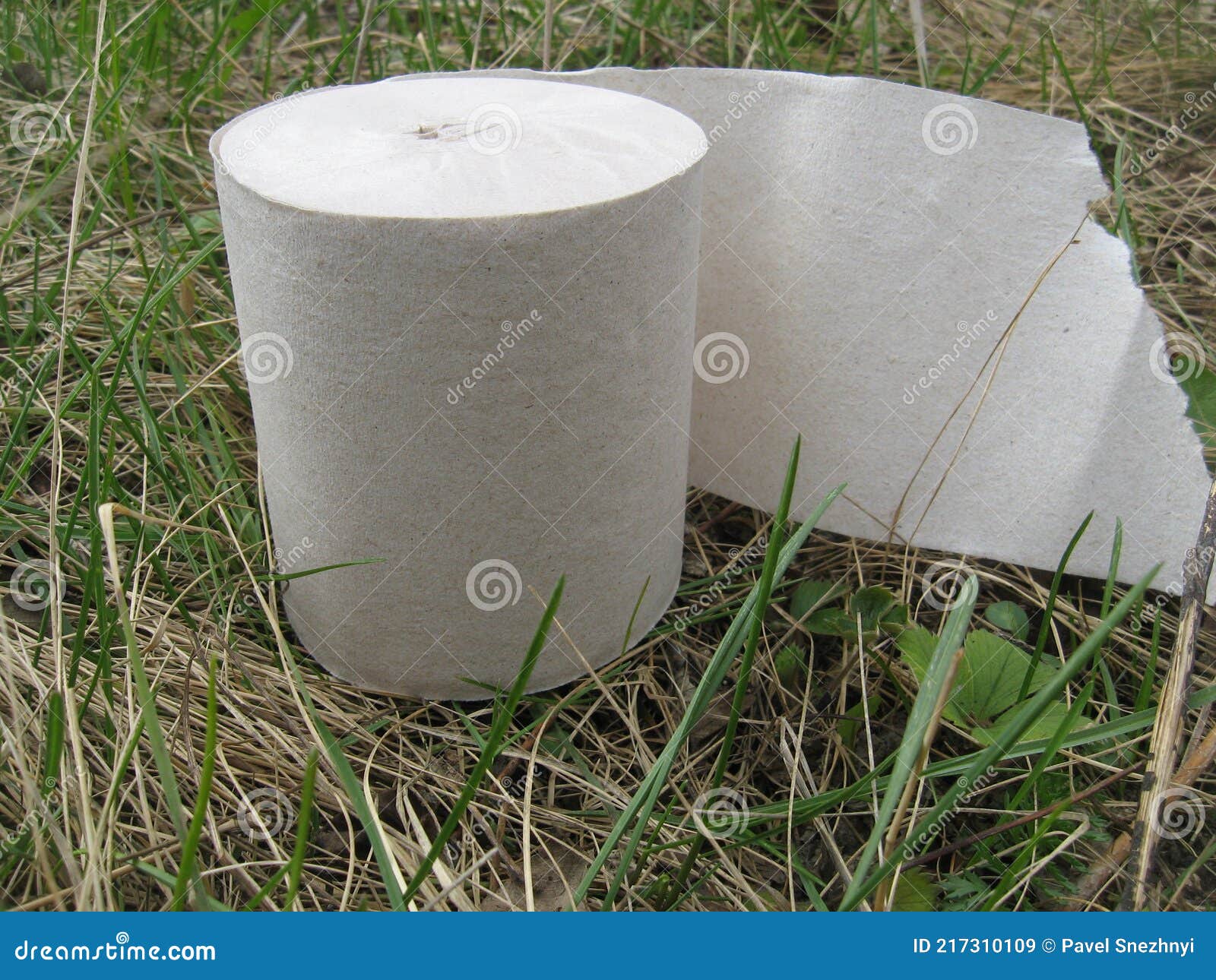 Toilet paper roll on grass stock image. Image of toilet - 217310109