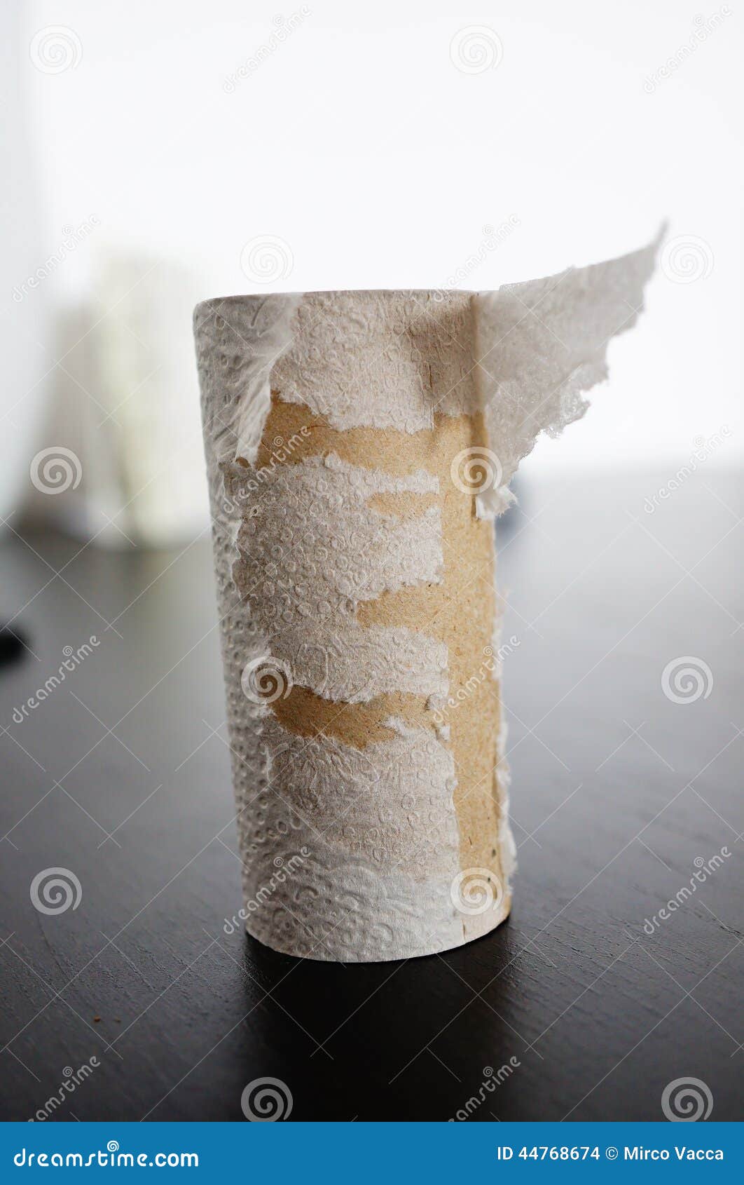 Toilet paper roll stock photo. Image of paper, roll, used - 44768674