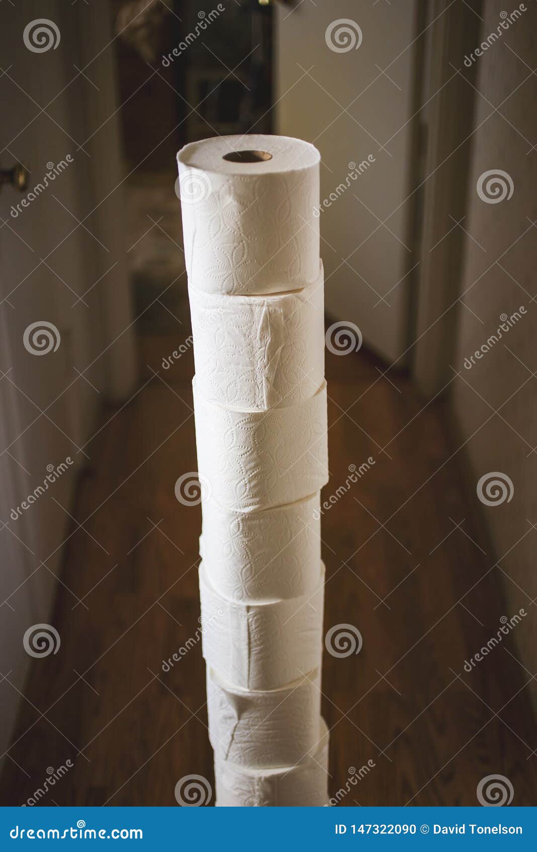 Toilet Paper Tower in the Hall Stock Photo - Image of home, towel ...