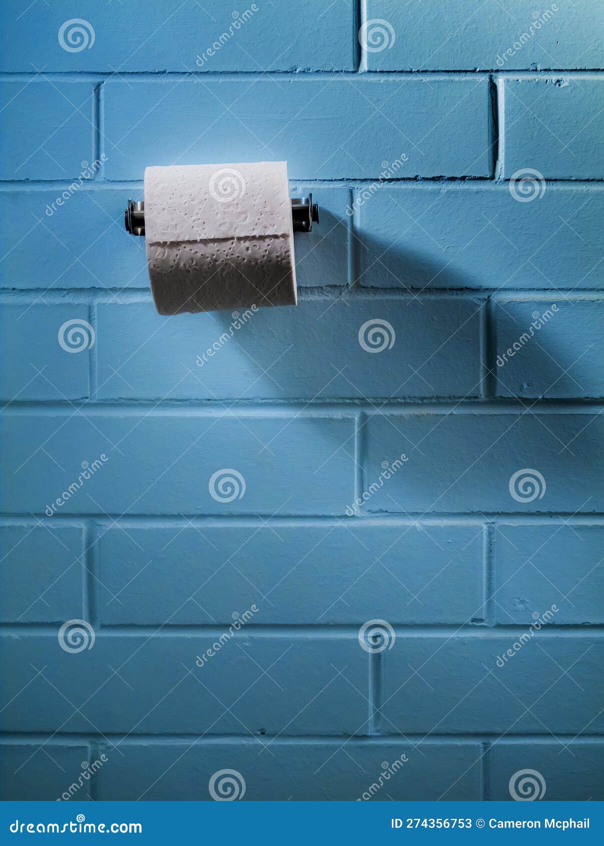 Toilet Paper Roll on Holder Attached To Brick Wall Stock Image - Image ...