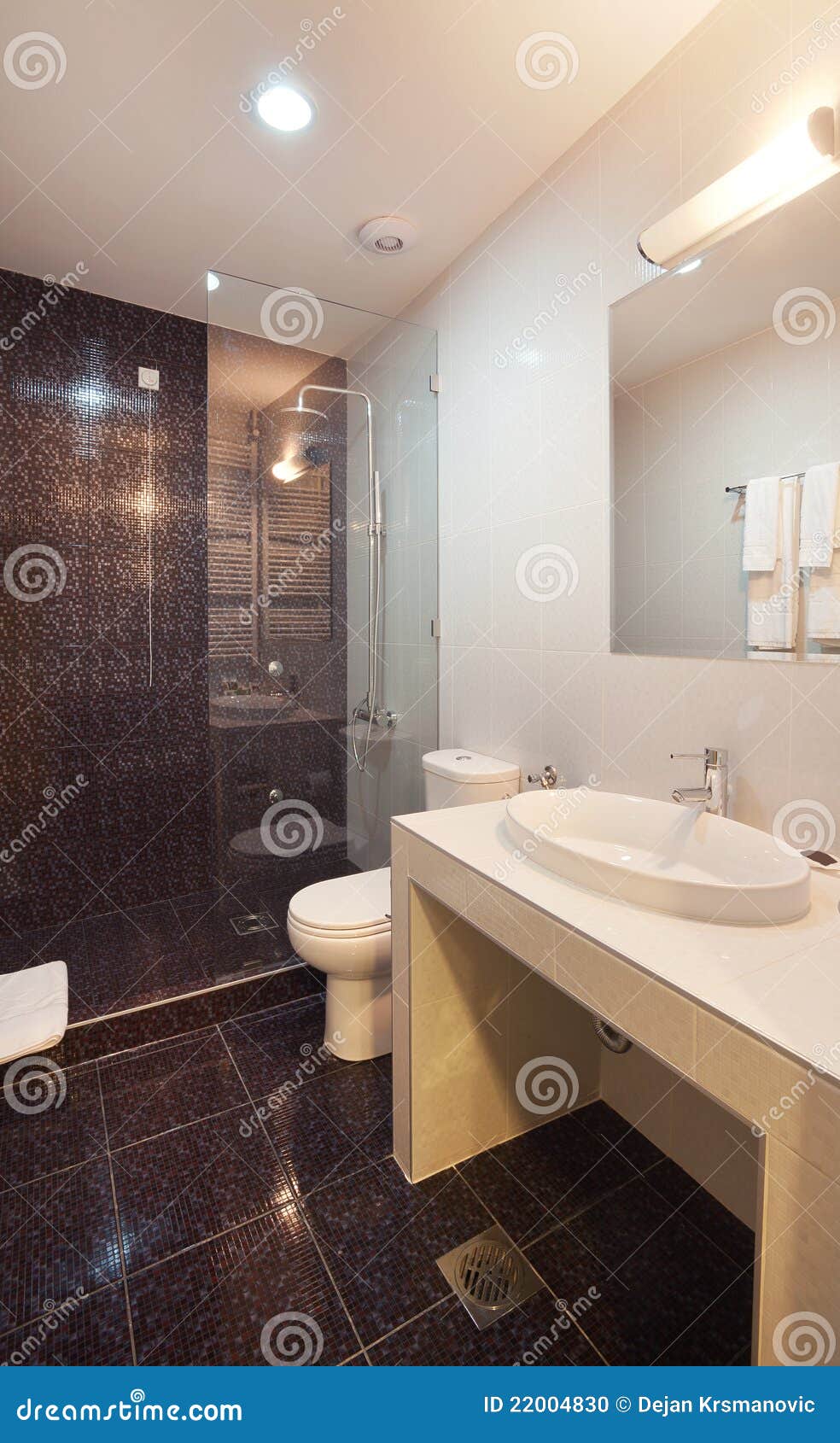 Toilet room stock photo. Image of modern, hotel, hygiene - 22004830