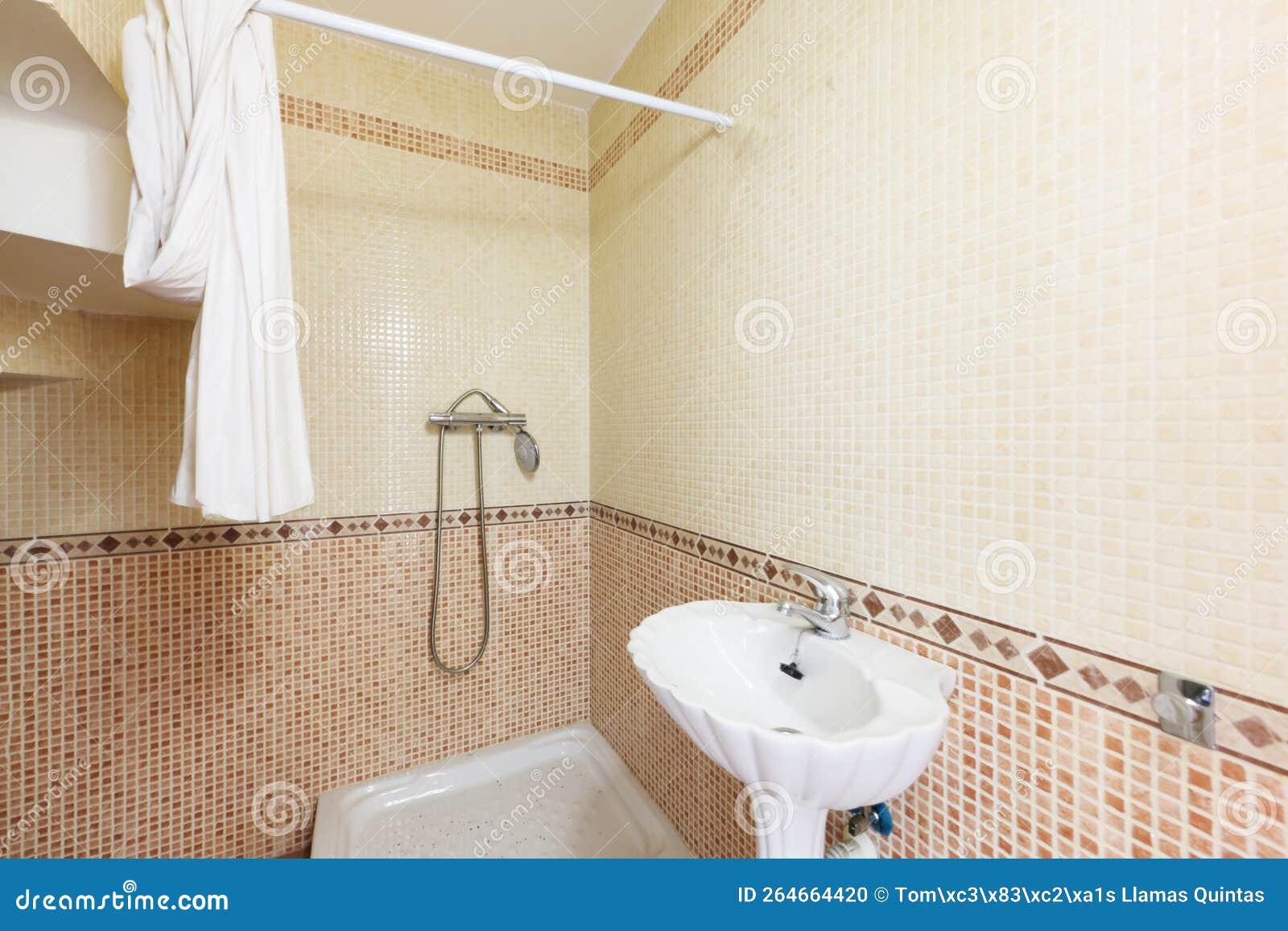 Toilet with Shell Design Sink and Curtained Shower Stall Stock Photo ...