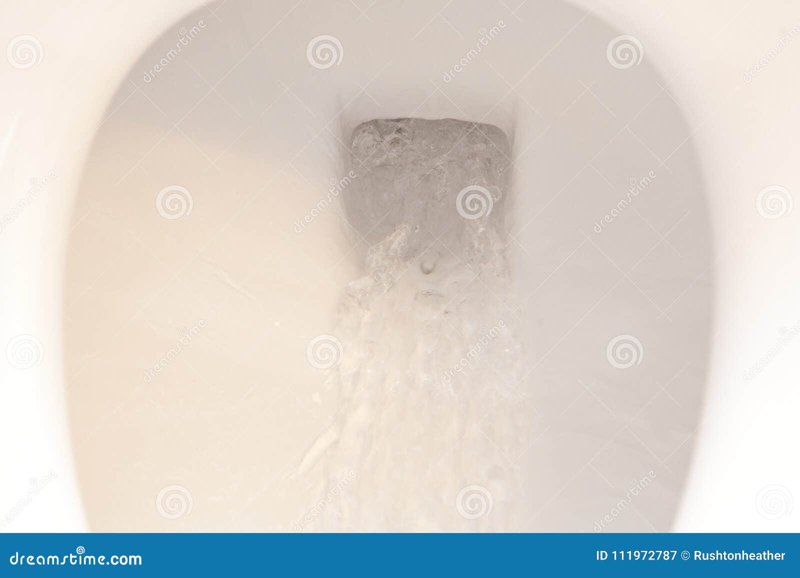 Toilet water flushing stock image. Image of porcelain - 111972787