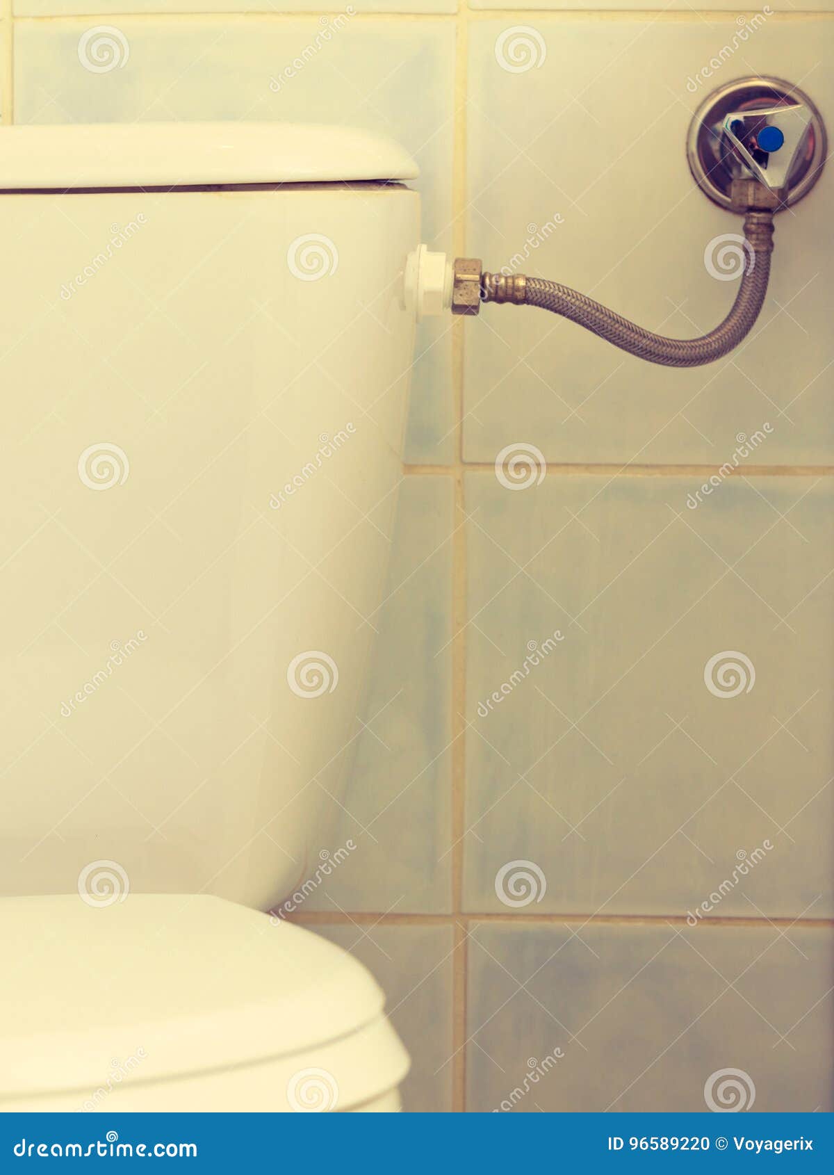 Toilet Water Supply Wire with Tap Stock Photo - Image of close, closeup ...