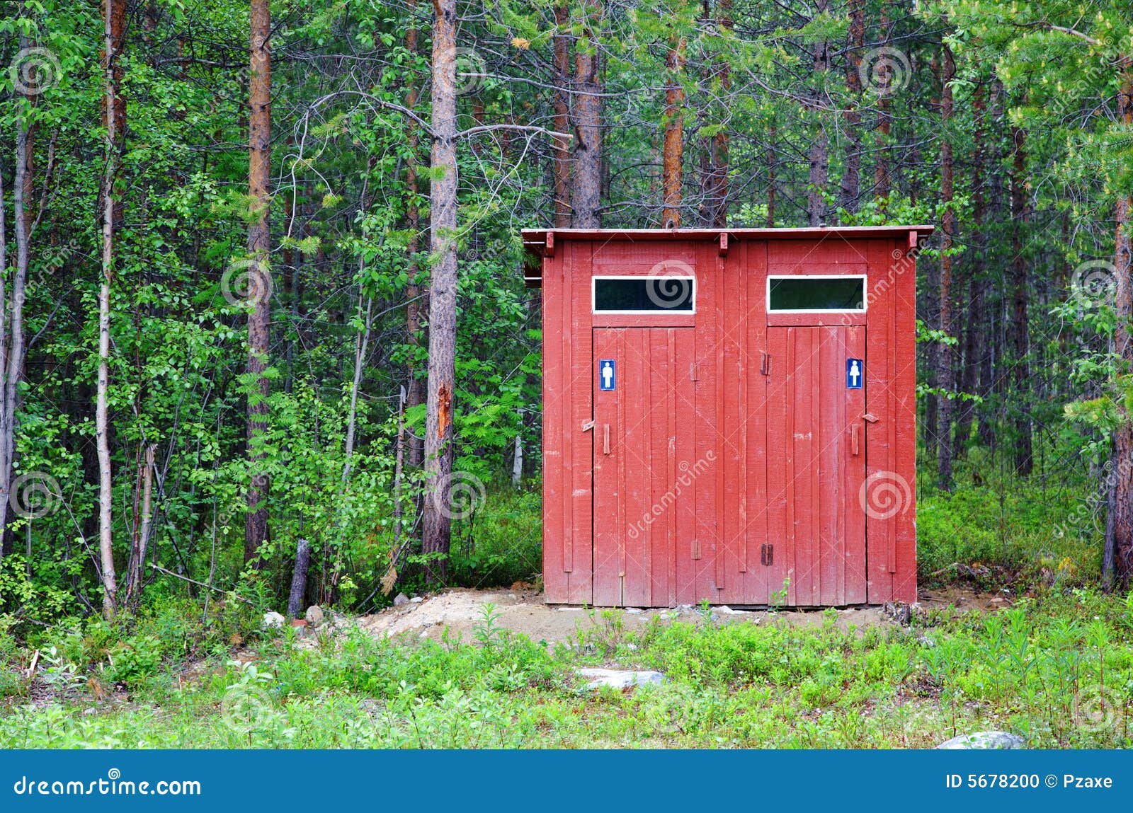 Toilet in a wood stock photo. Image of summer, toilet - 5678200