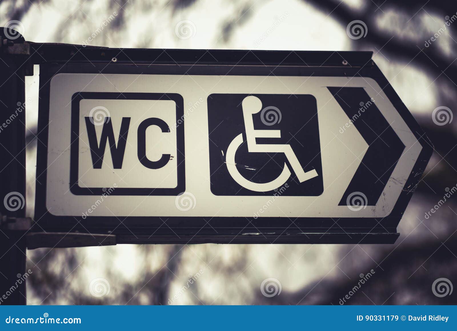 Signs For Disabled People, Elderly, Pregnant Women White On A Green ...