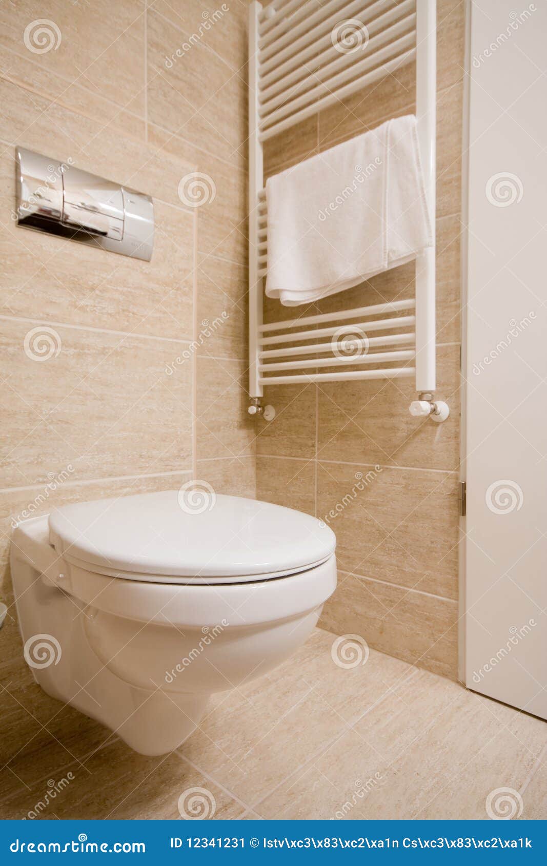 Toilette imagen de archivo. Imagen de bacterias, orina - 12341231