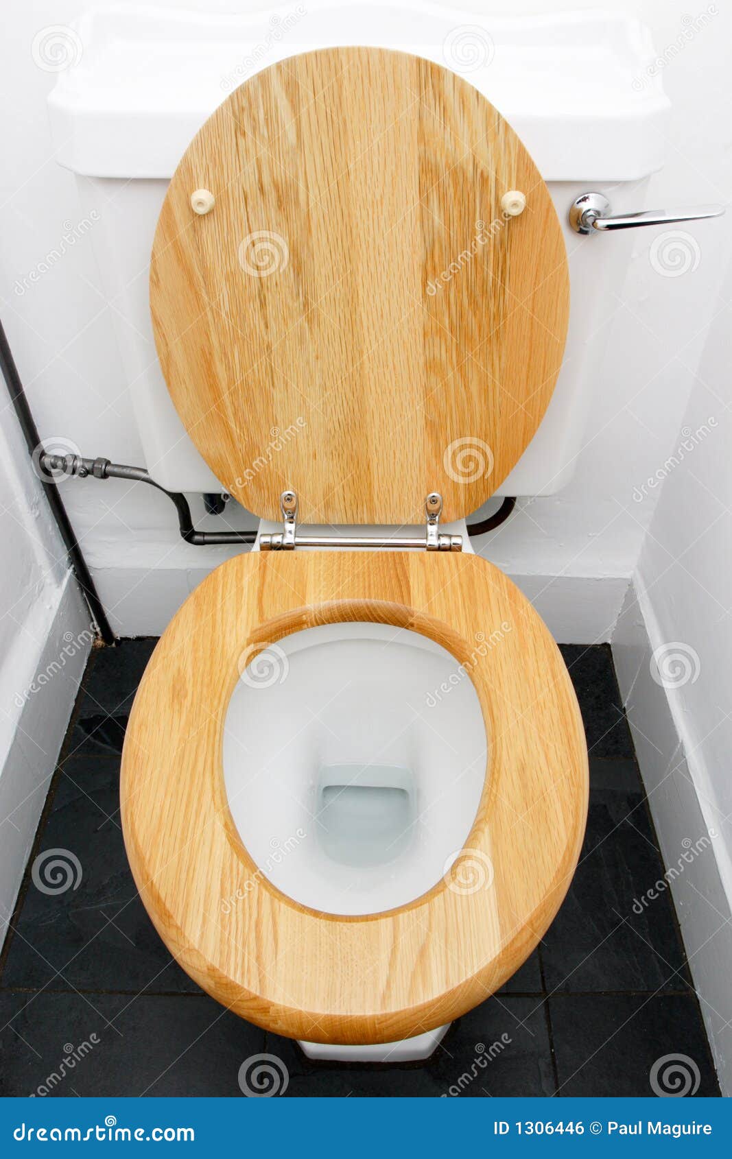 Toilette photo stock. Image du levier, propre, intérieur - 1306446