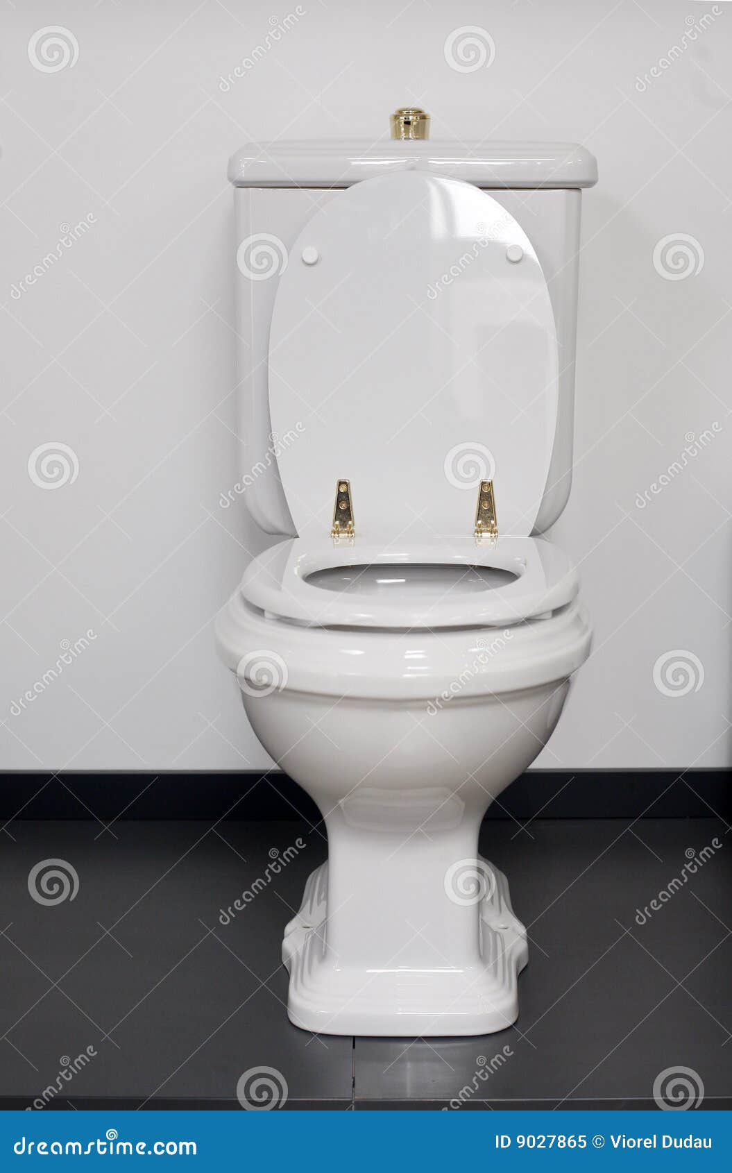 Toilette WC stockbild. Bild von haus, toilette, haupt - 9027865