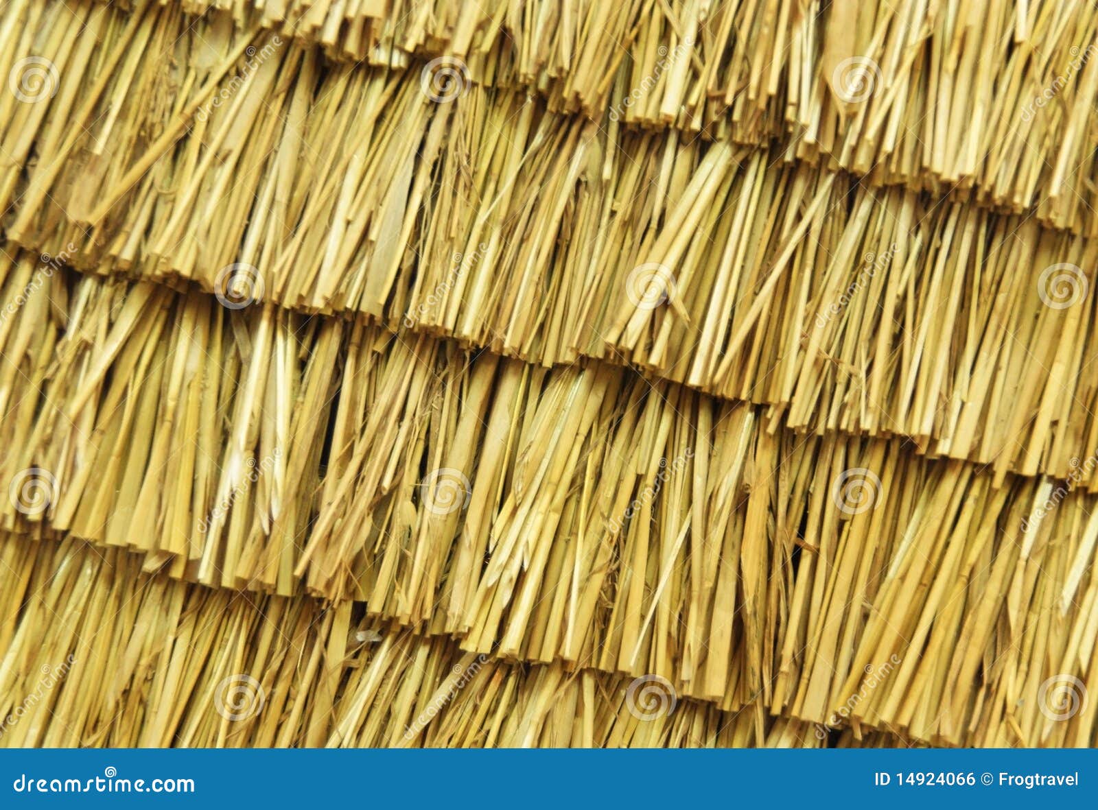 Toit de chaume photo stock. Image du ukraine, normal - 14924066