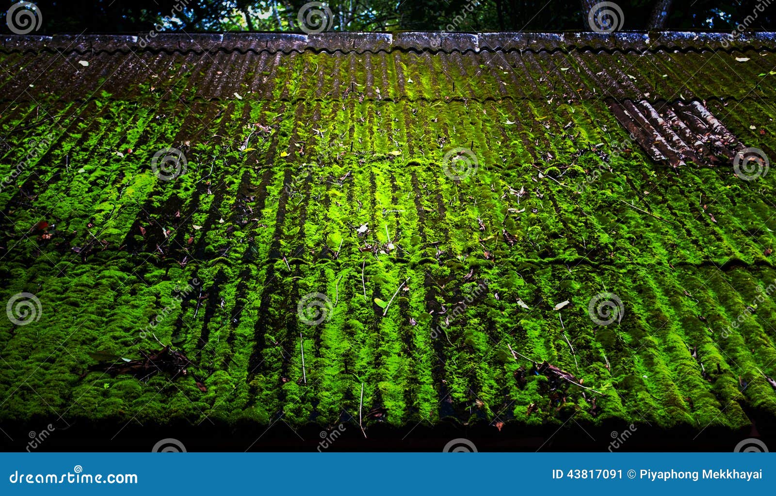 Toit de mousse image stock. Image du construction, vert - 43817091