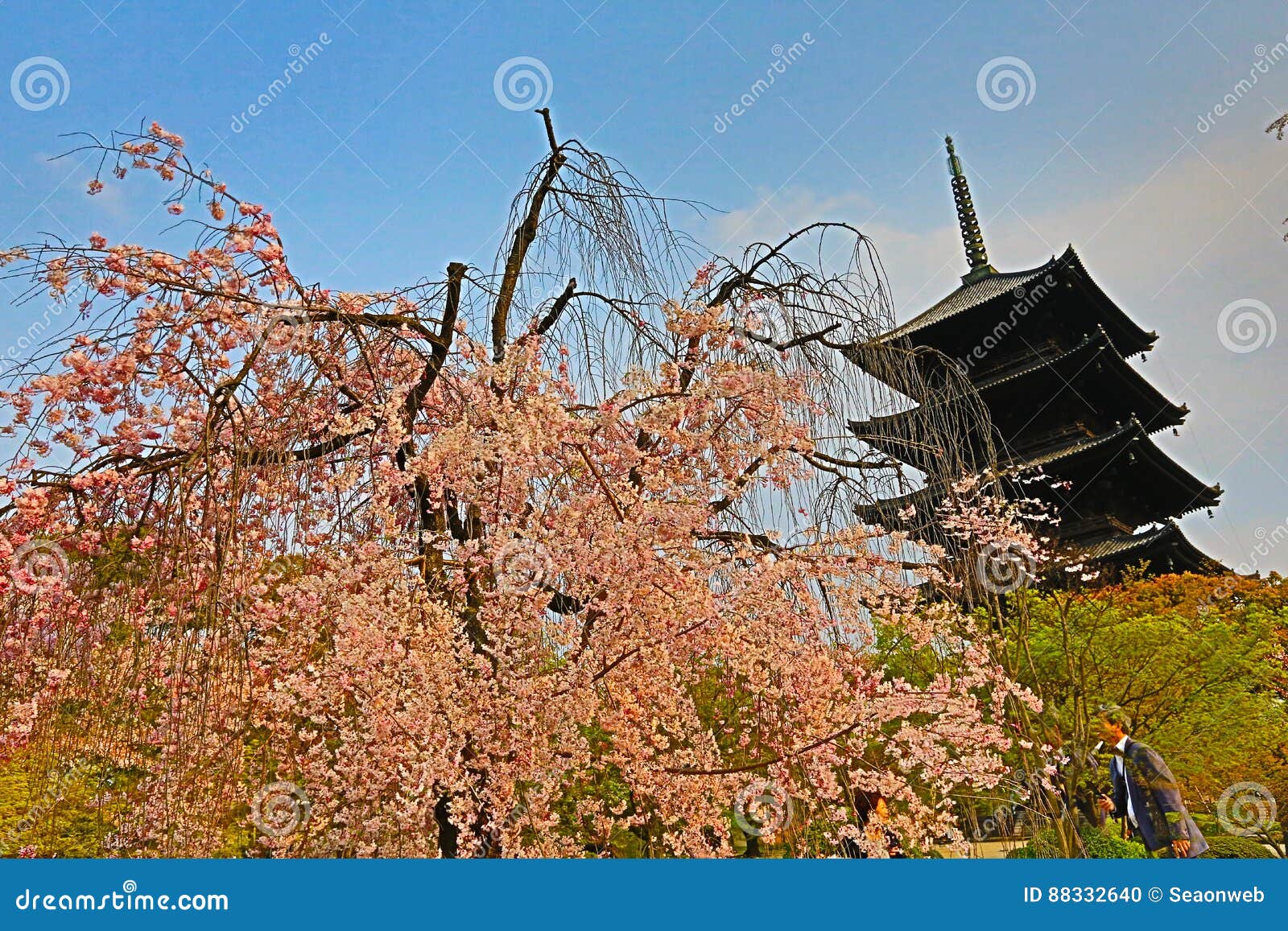 Toji Temple in Spring, Kyoto, Japan Stock Photo - Image of traditional ...