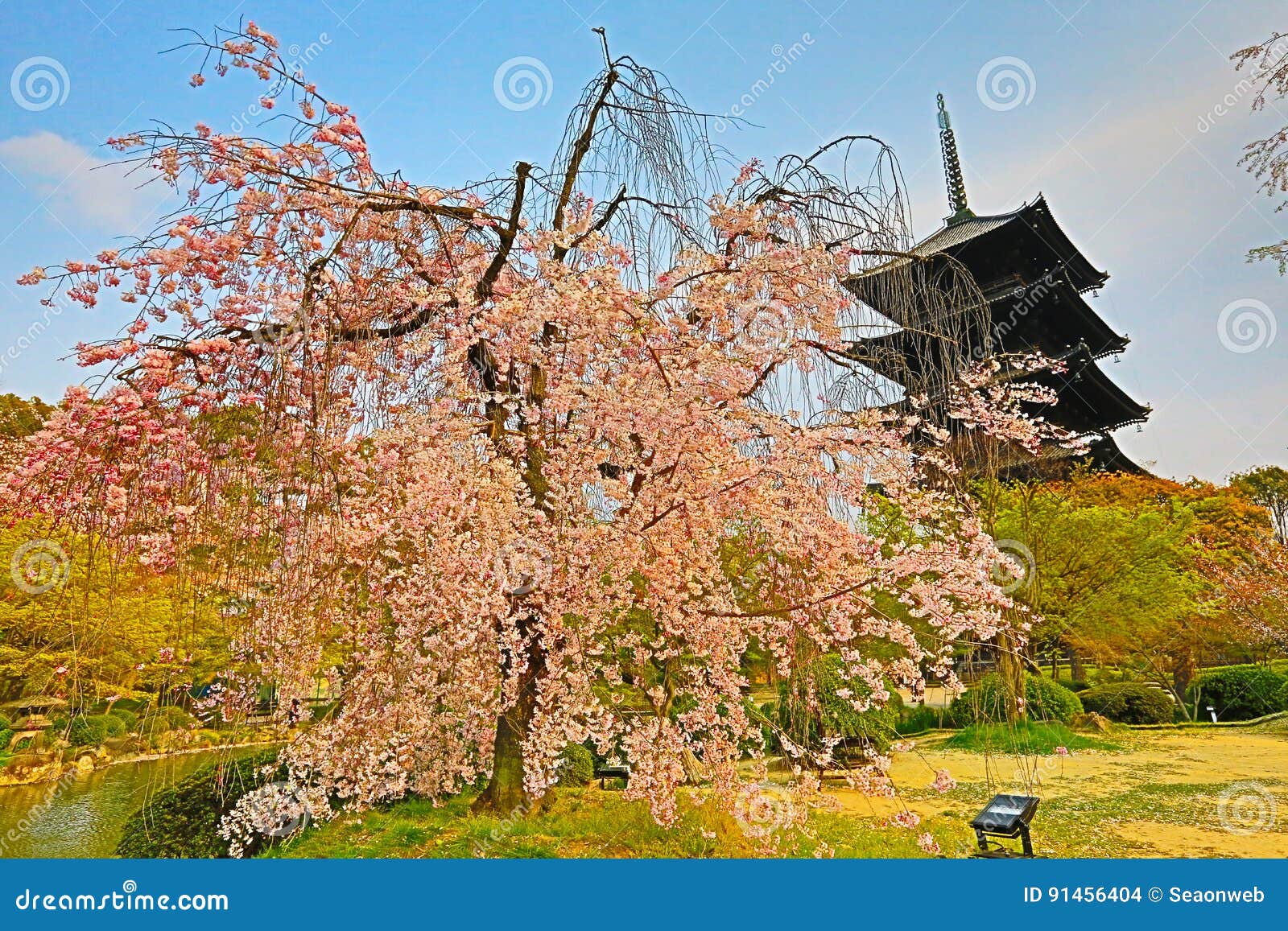 Toji Temple in Spring, Kyoto, Japan Stock Photo - Image of place ...