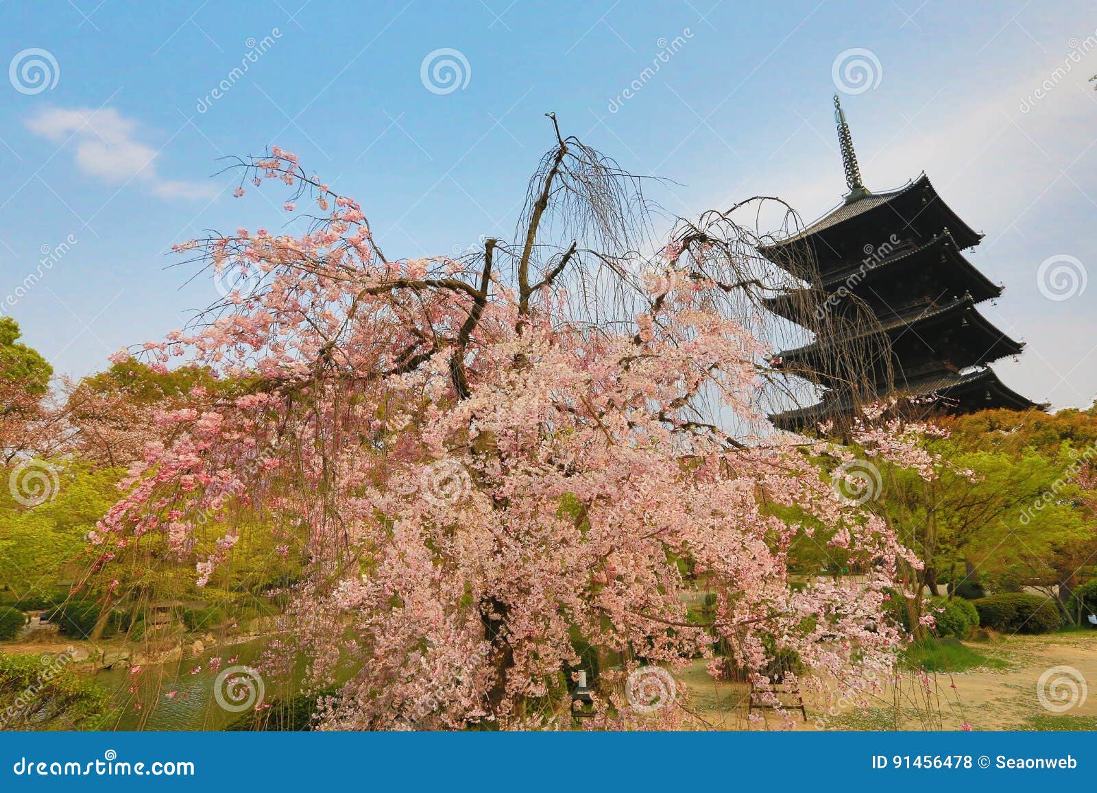 Toji Temple in Spring, Kyoto, Japan Stock Photo - Image of architecture ...