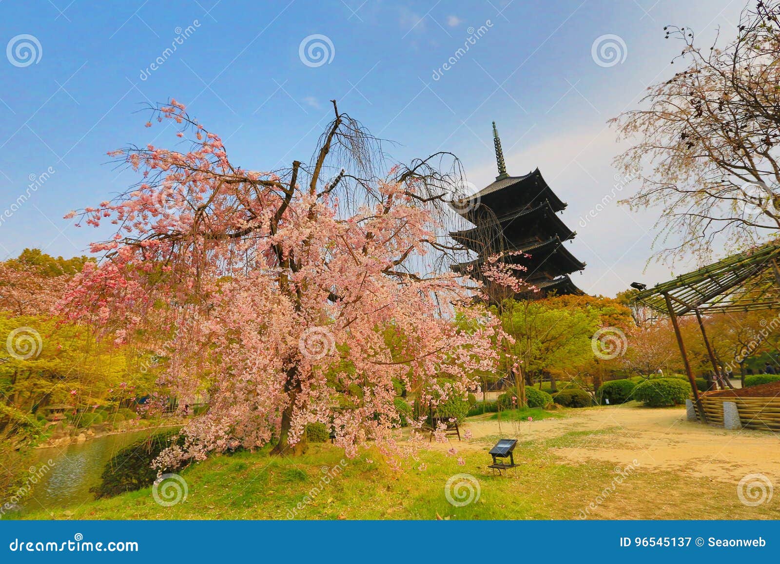 Toji Temple in Spring, Kyoto, Japan Stock Image - Image of shrine, toji ...