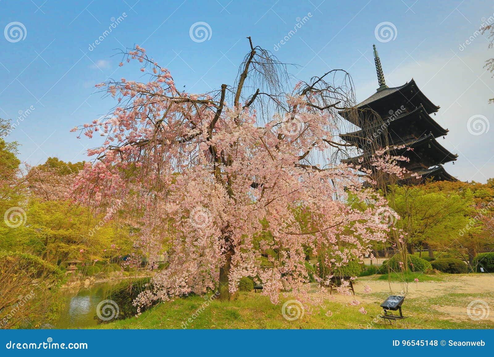 Toji Temple in Spring, Kyoto, Japan Editorial Stock Photo - Image of ...