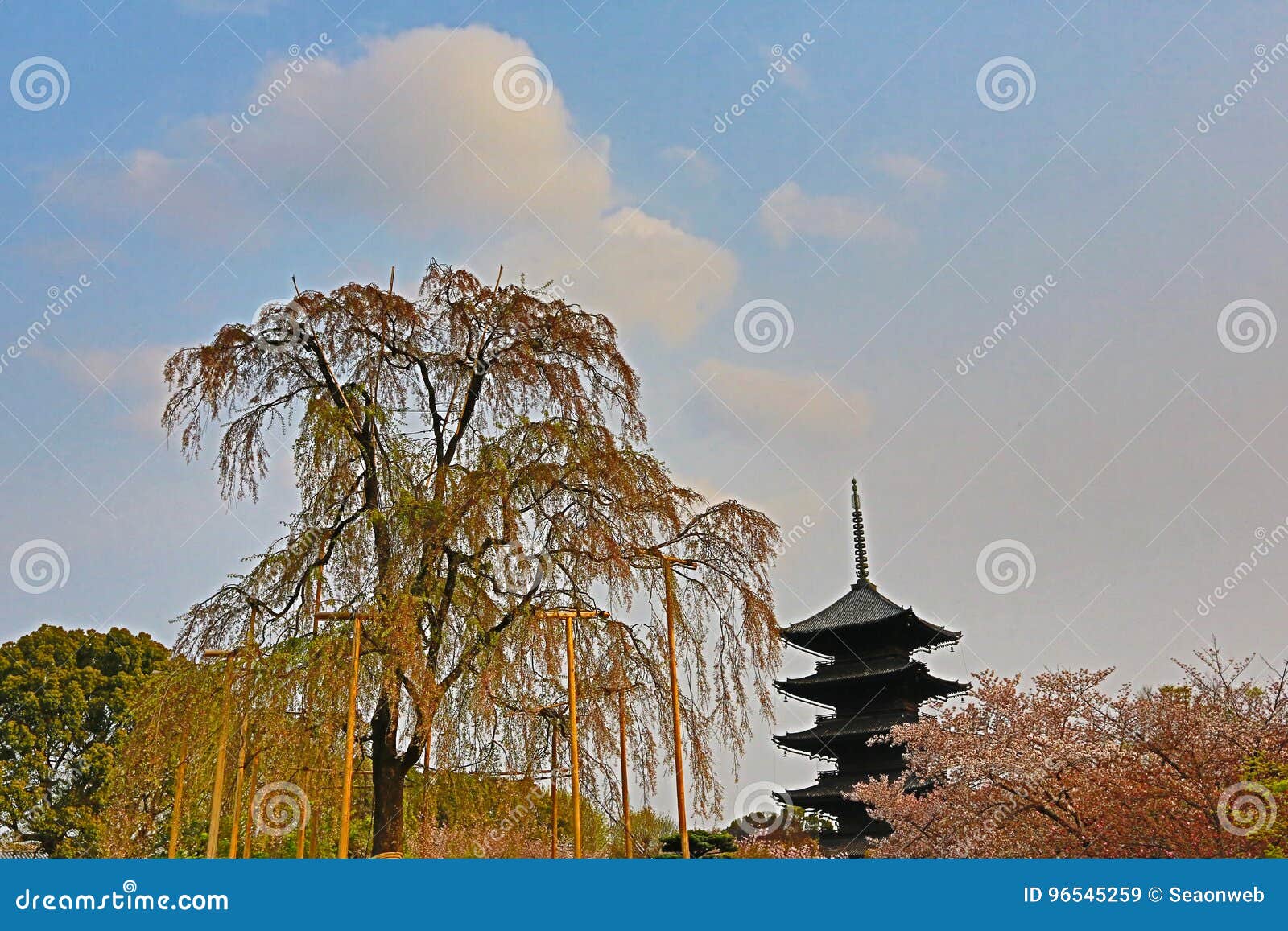 Toji Temple in Spring, Kyoto, Japan Editorial Stock Image - Image of ...
