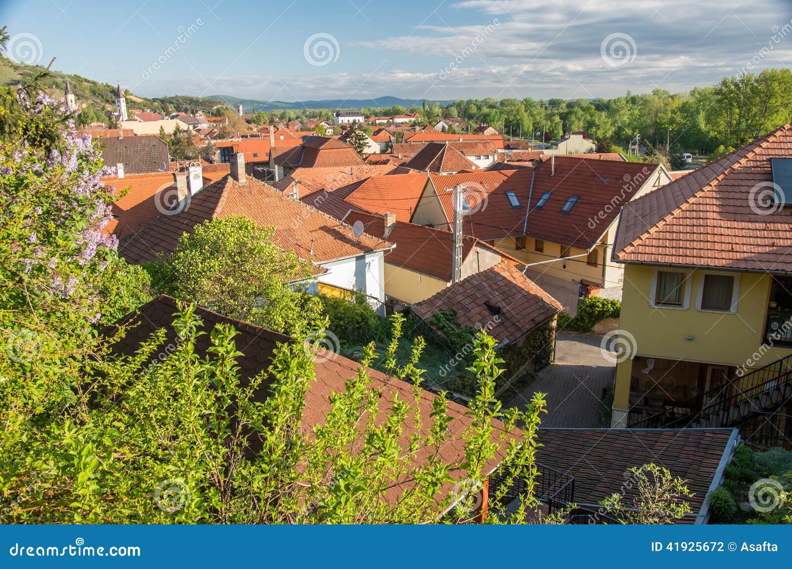 Tokaj, Hungary - Aerial View Of The World Famous Hungarian Vineyards Of ...