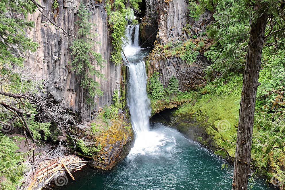 Toketee Falls stock photo. Image of altitude, quiet, running - 15211114