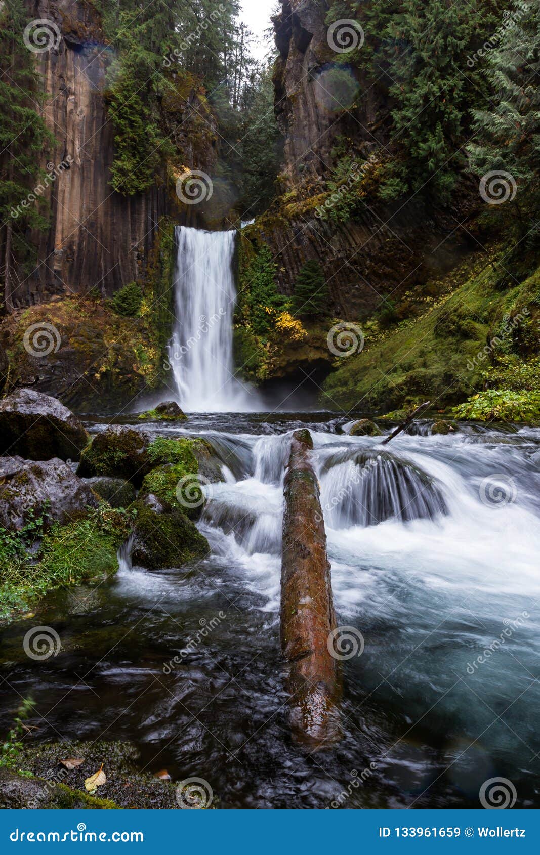 Toketee Falls Umpqua National Forest Oregon Stock Image Image Of Famous Peaceful 133961659
