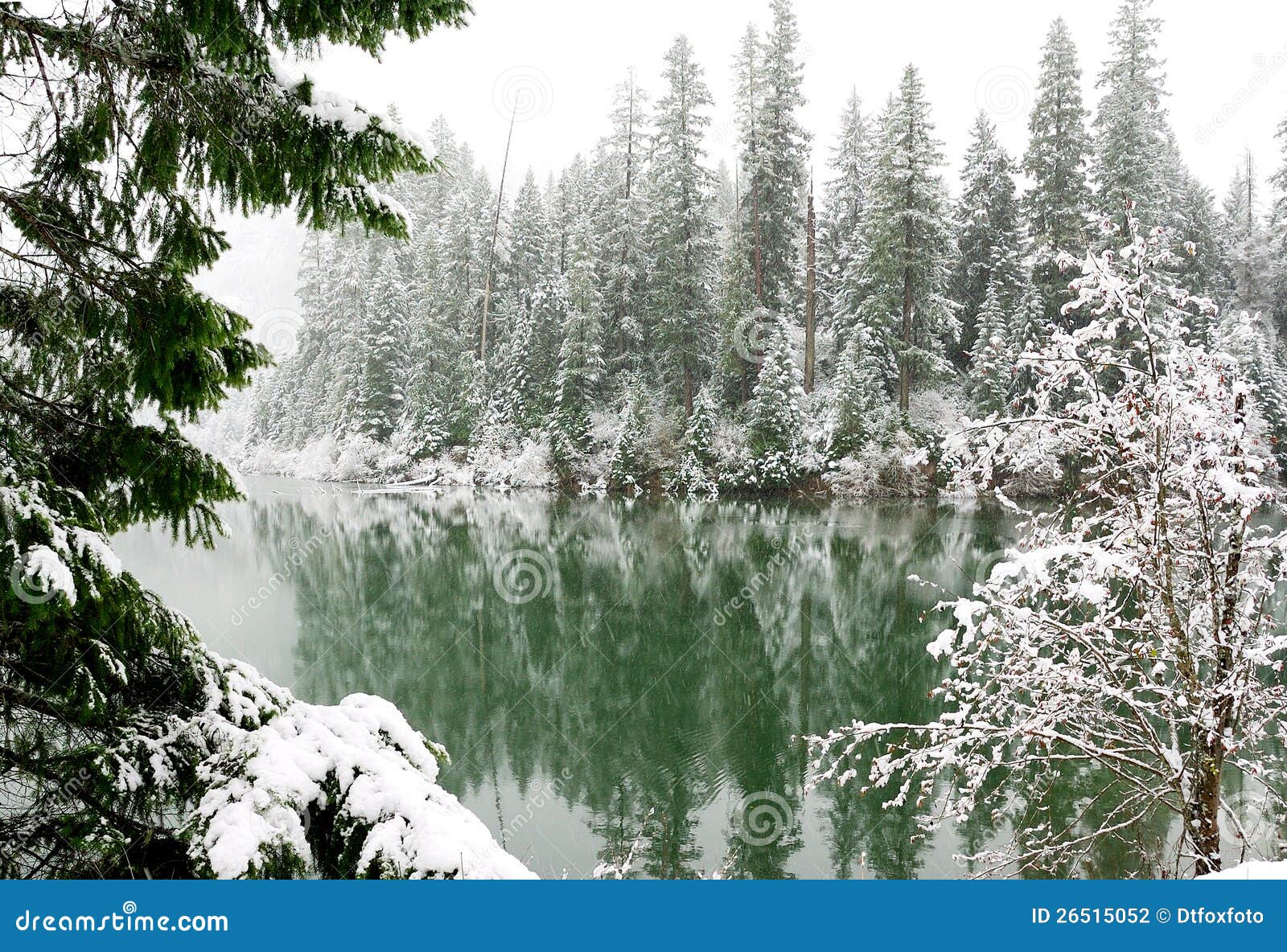 Toketee Reservoir stock photo. Image of cold, america - 26515052