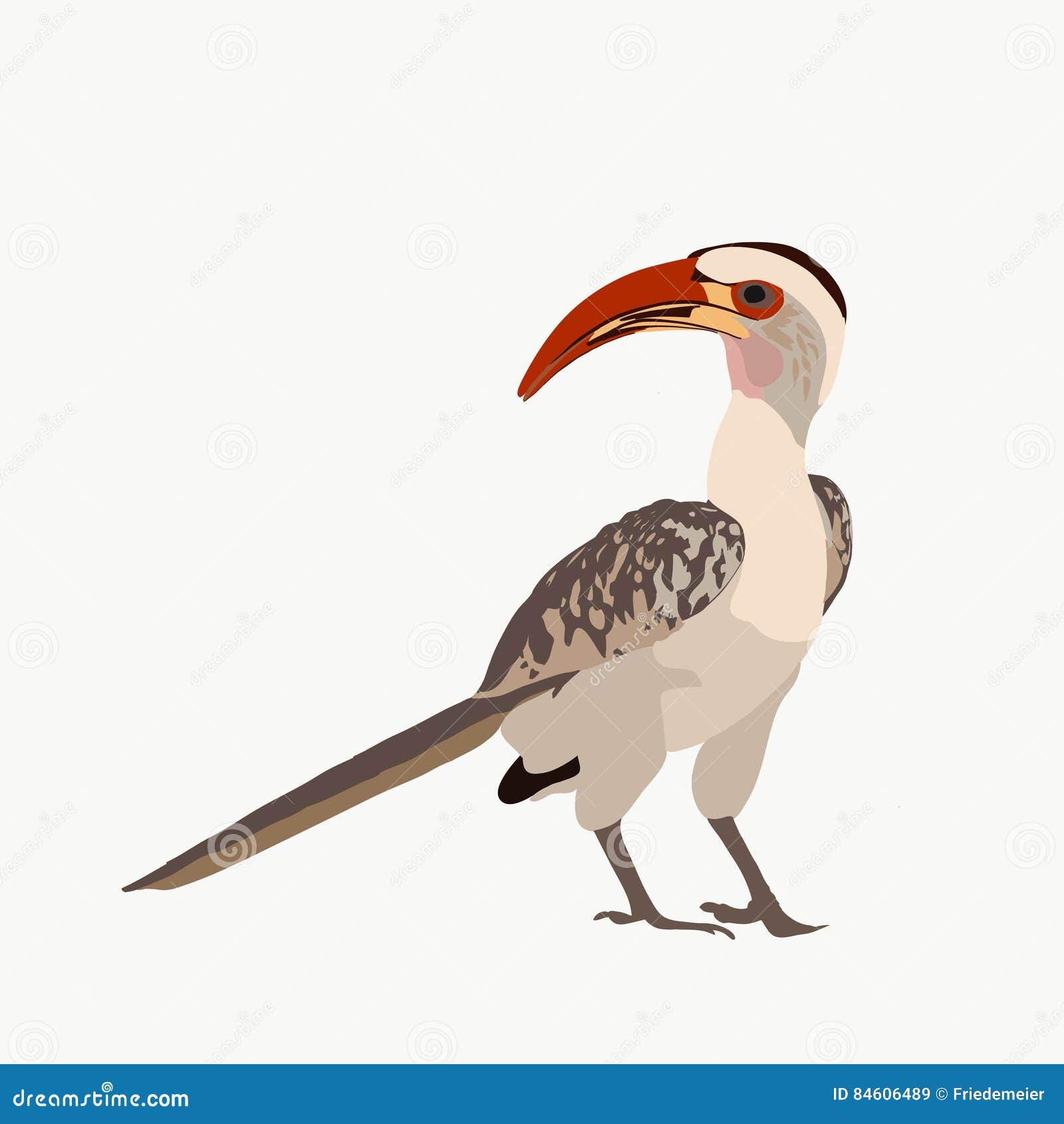 Toko Cartoons, Illustrations & Vector Stock Images - 67 Pictures to ...