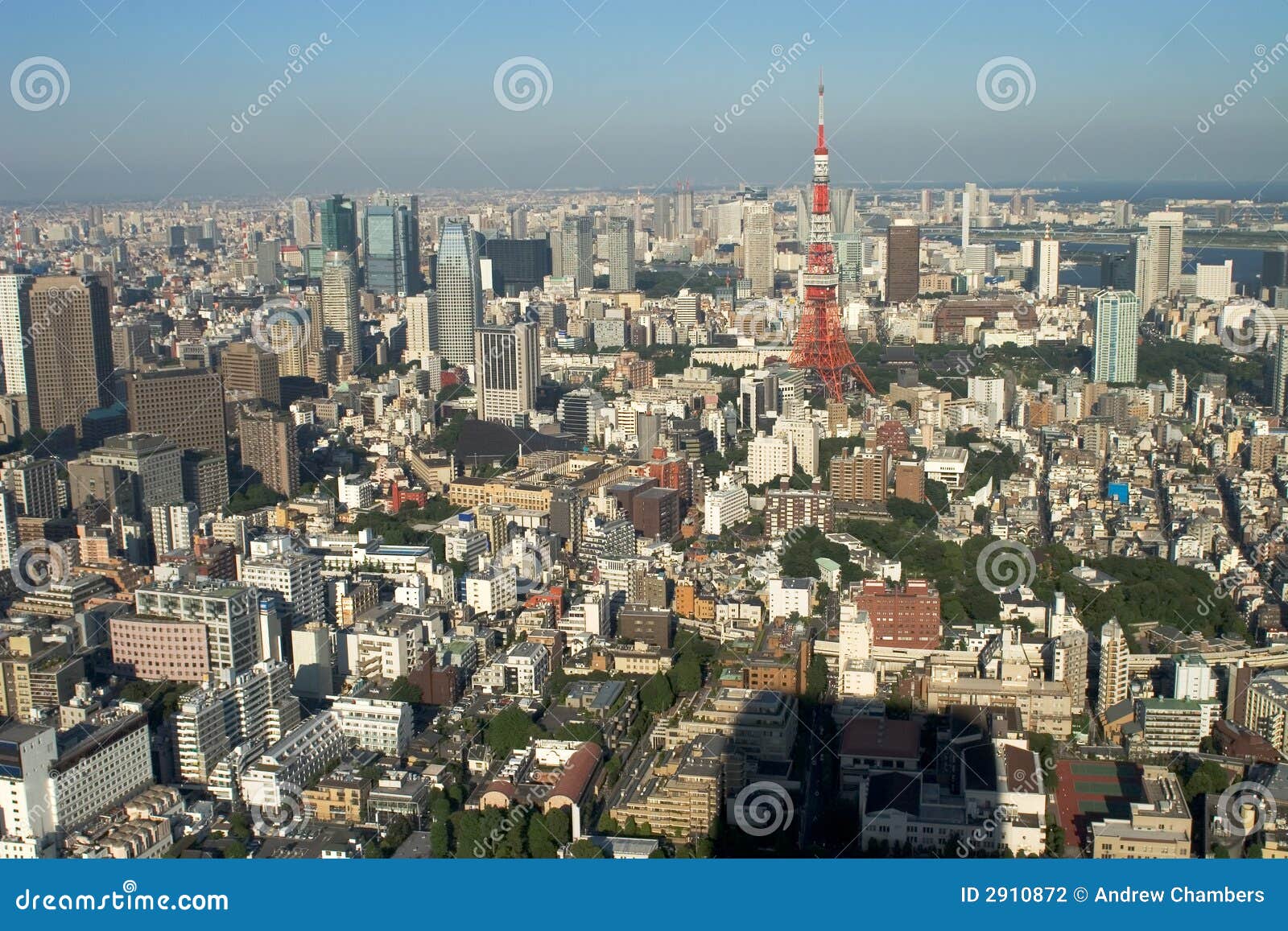 Tokyo from above stock photo. Image of downtown, skyscrapers - 2910872