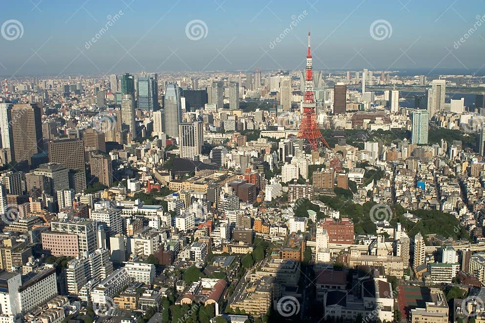 Tokyo from above stock photo. Image of downtown, skyscrapers - 2910872