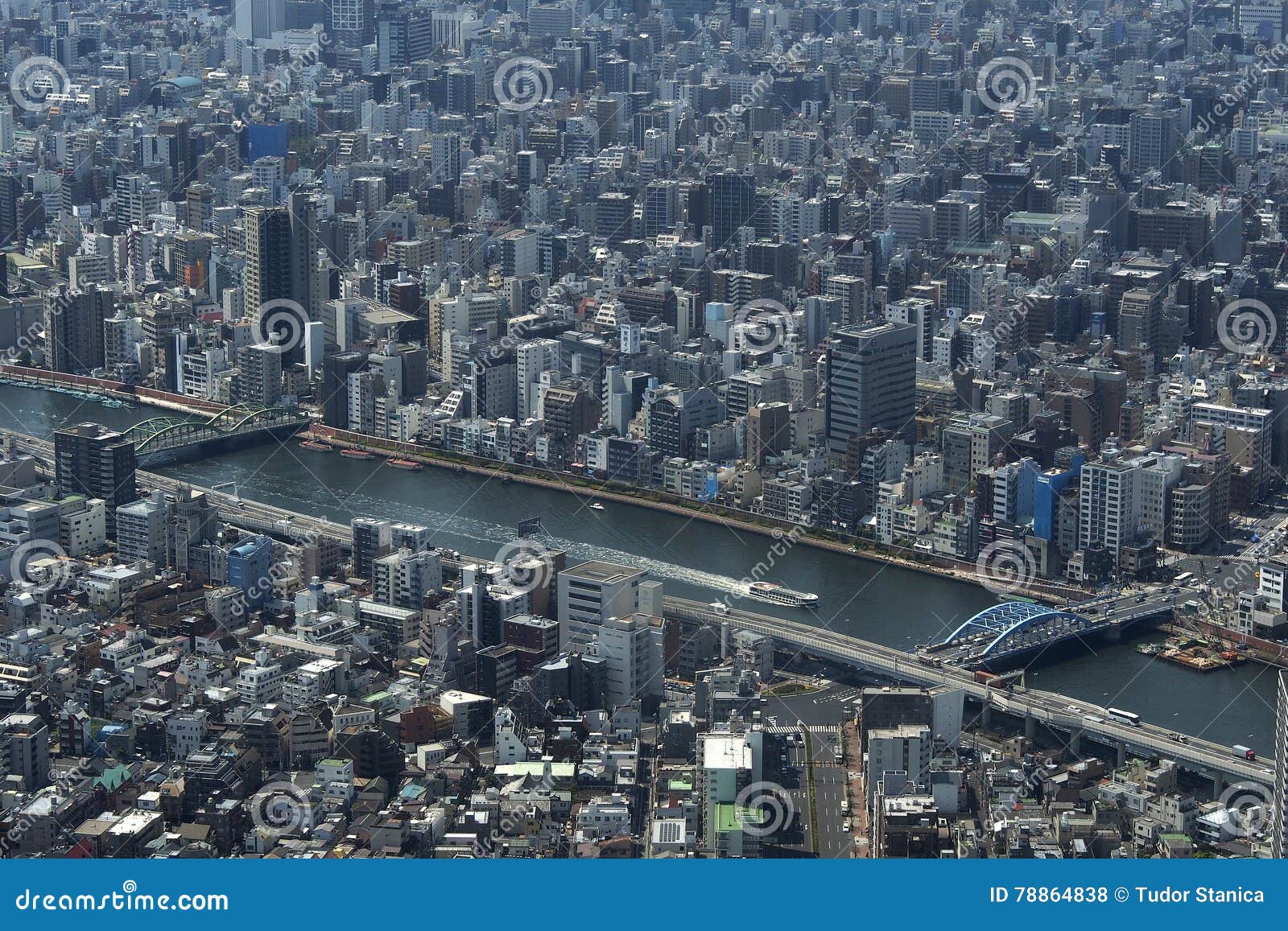 Tokyo from above editorial stock photo. Image of tree - 78864838