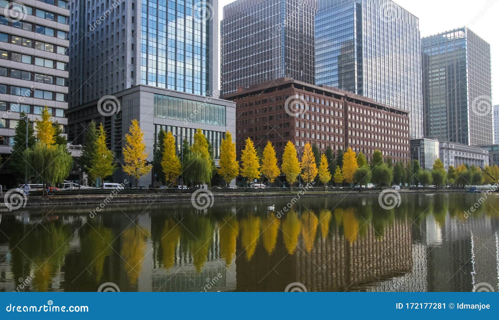 Tokyo autumn stock image. Image of sightseeing, asian - 172177281