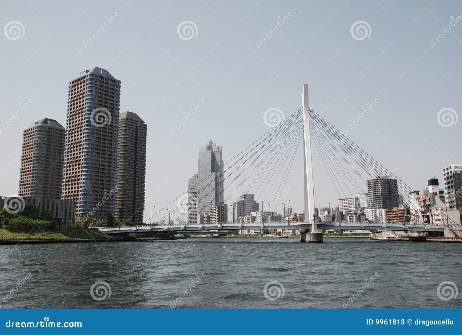 Tokyo Bridge, Japan stock photo. Image of japan, east - 9961818