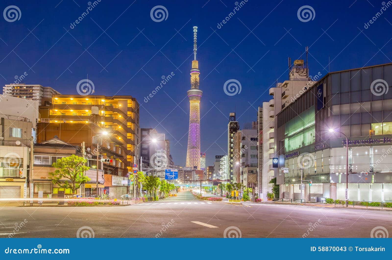 Tokyo city view editorial stock photo. Image of tree - 58870043