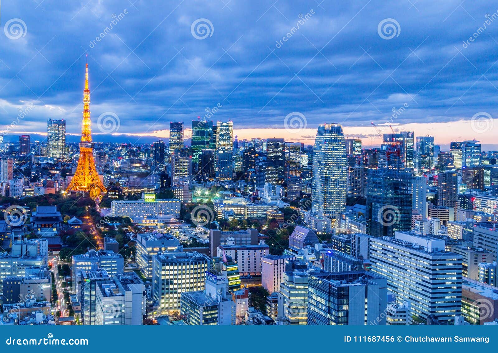 Tokyo city view editorial photo. Image of downtown, metropolis - 111687456
