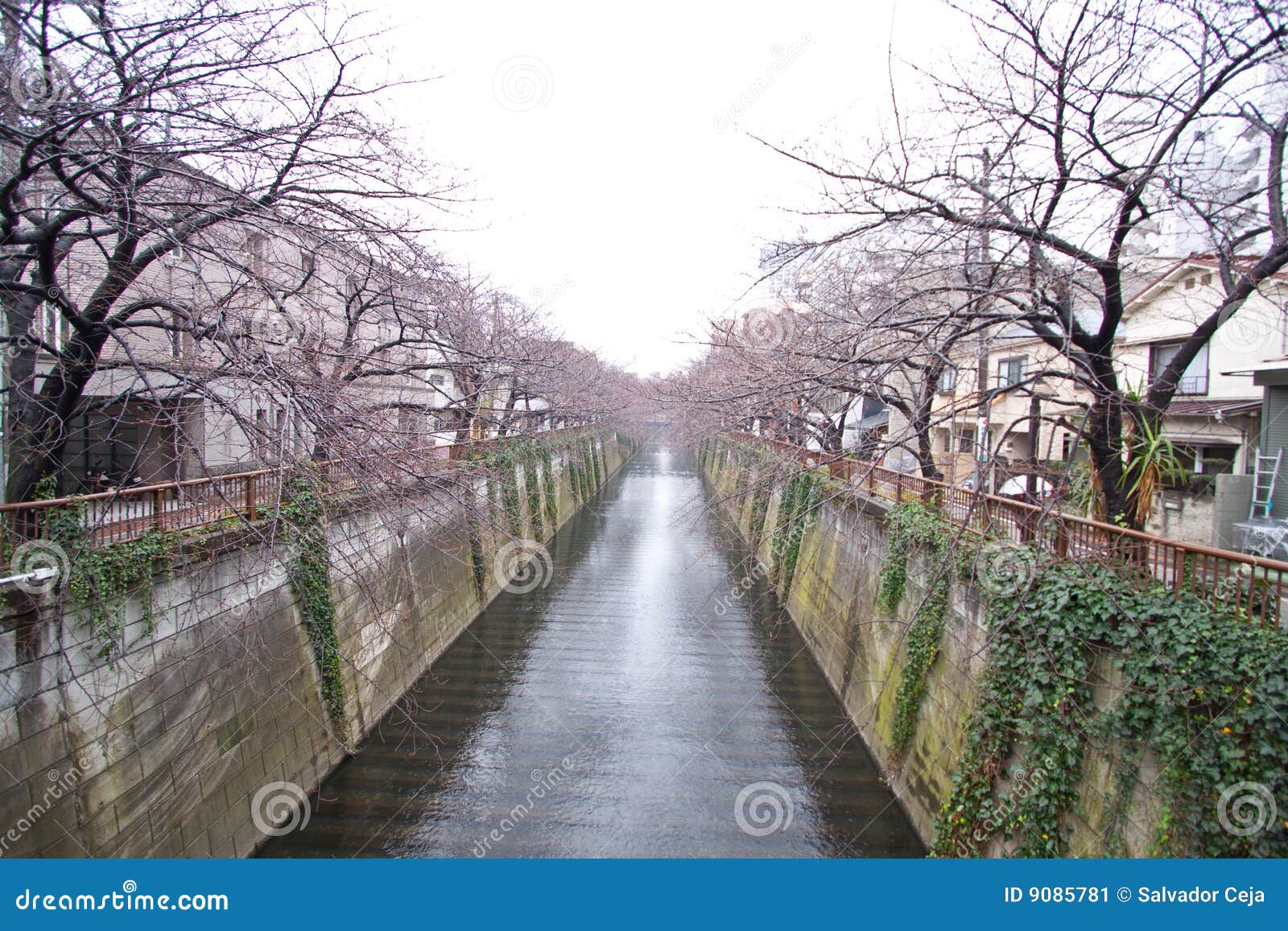 Tokyo city water channel stock image. Image of asia, embankment - 9085781