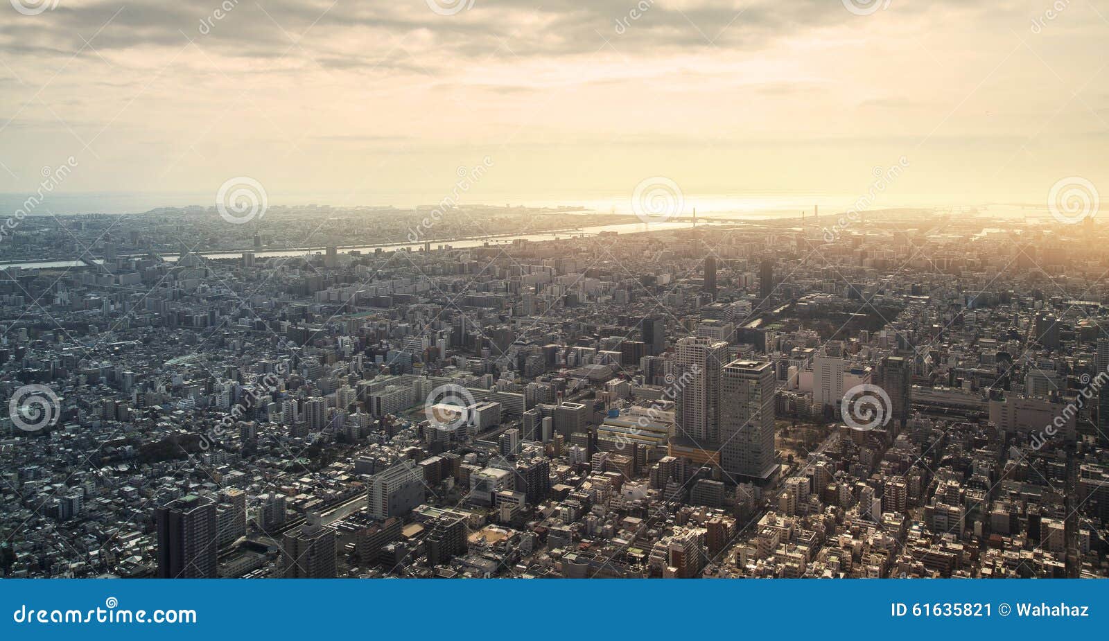 Tokyo cityscape stock image. Image of architecture, panorama - 61635821