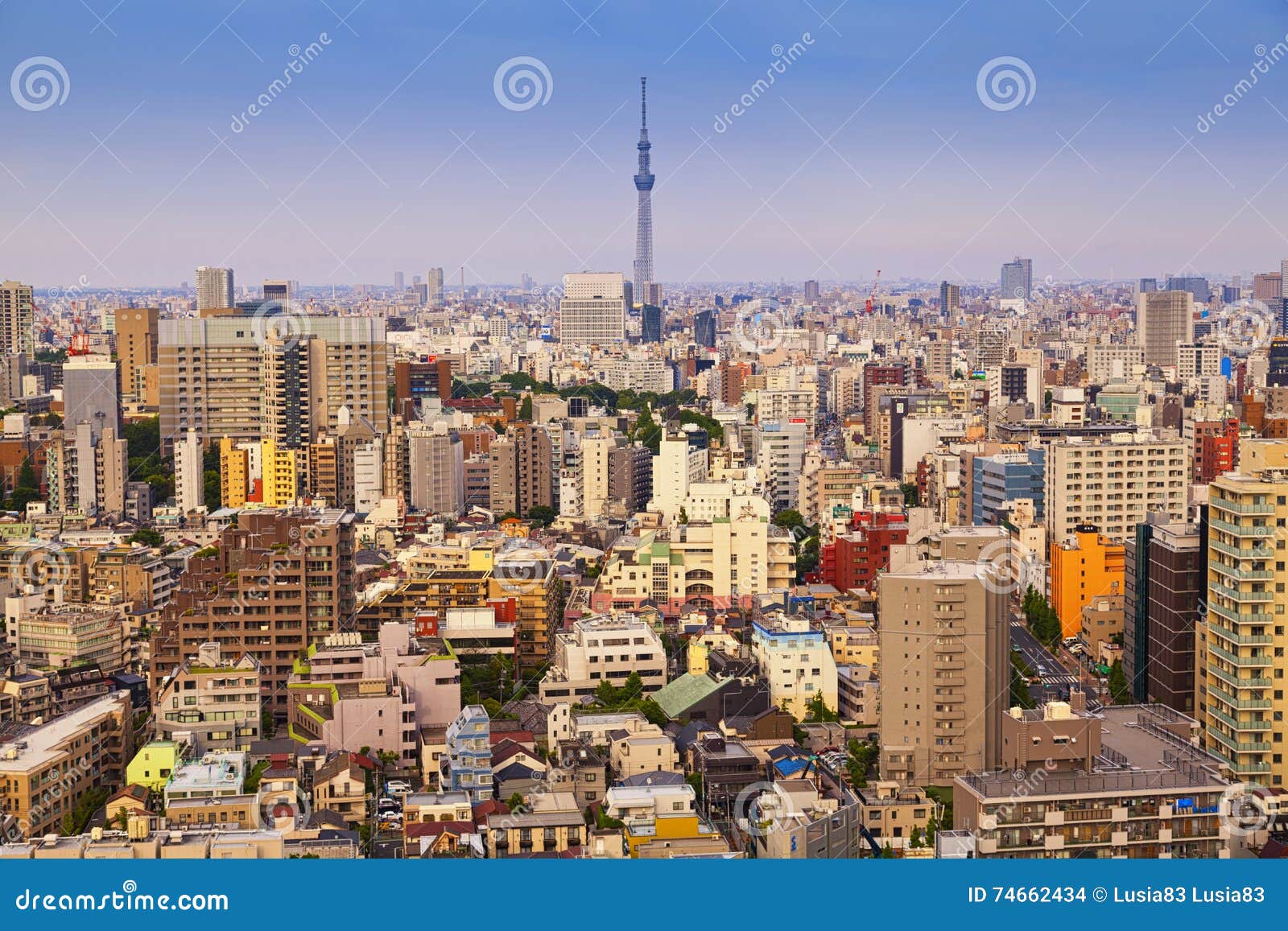 Tokyo Cityscape With Railways Metro System, Top View From Tokyo Skytree ...